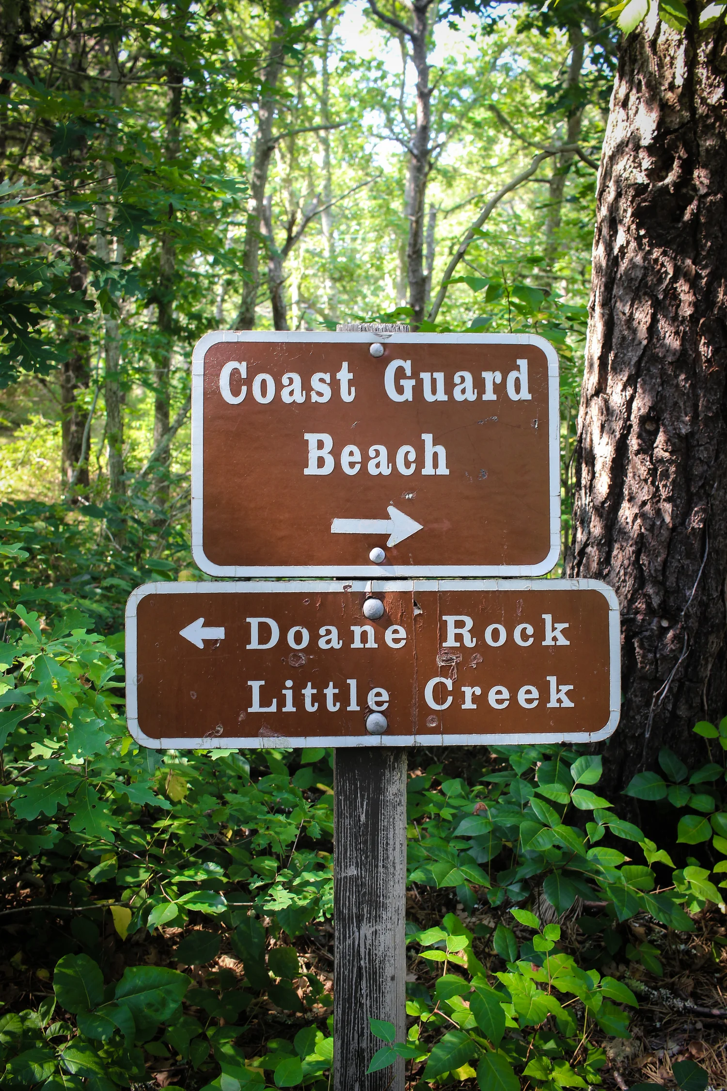 Cape Cod National Seashore (Eastham, Massachusetts) — Travel With Gamble