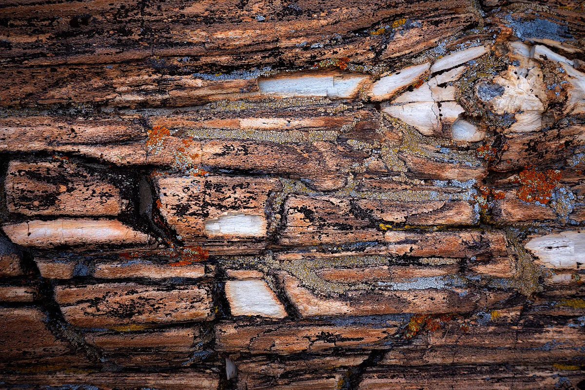Tim Canfield | Photography — Bisti Badlands Gallery