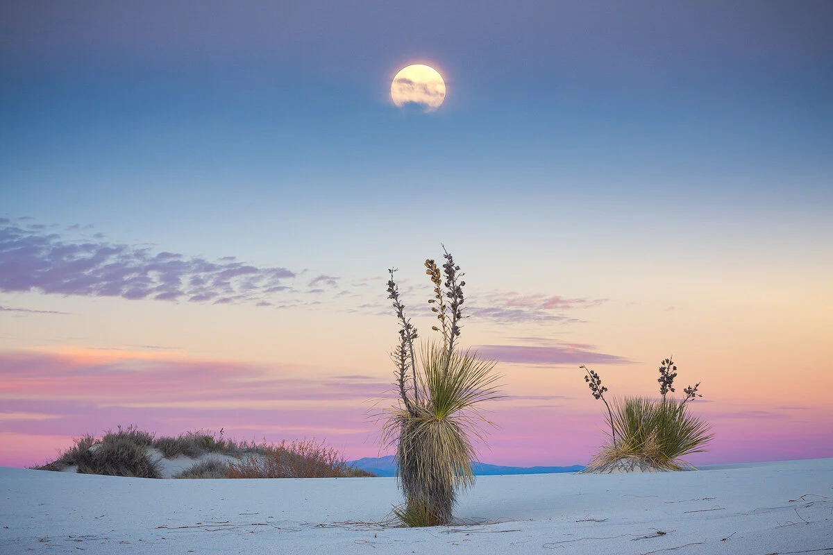 Tim Canfield | Photography — Fine Art Galleries