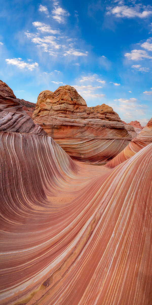 Tim Canfield | Photography