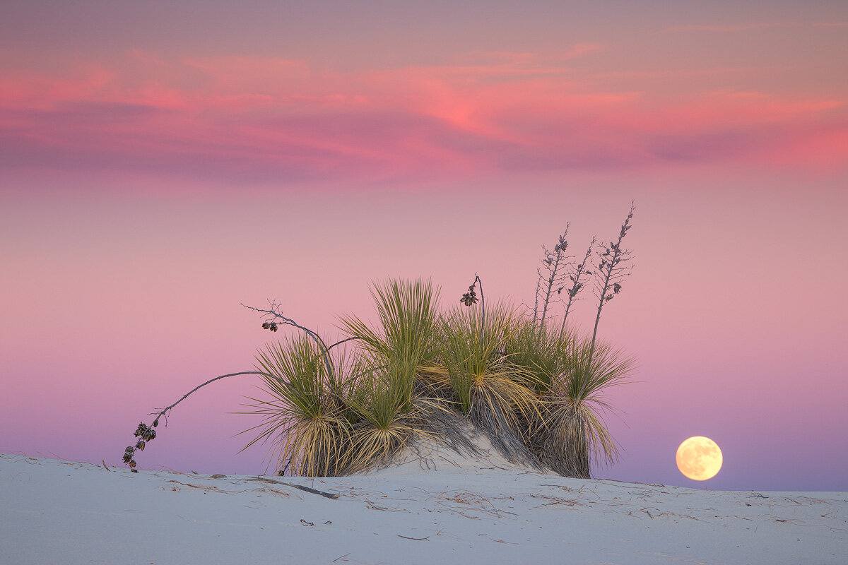 Tim Canfield | Photography