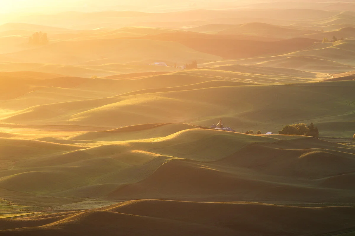 Tim Canfield | Photography