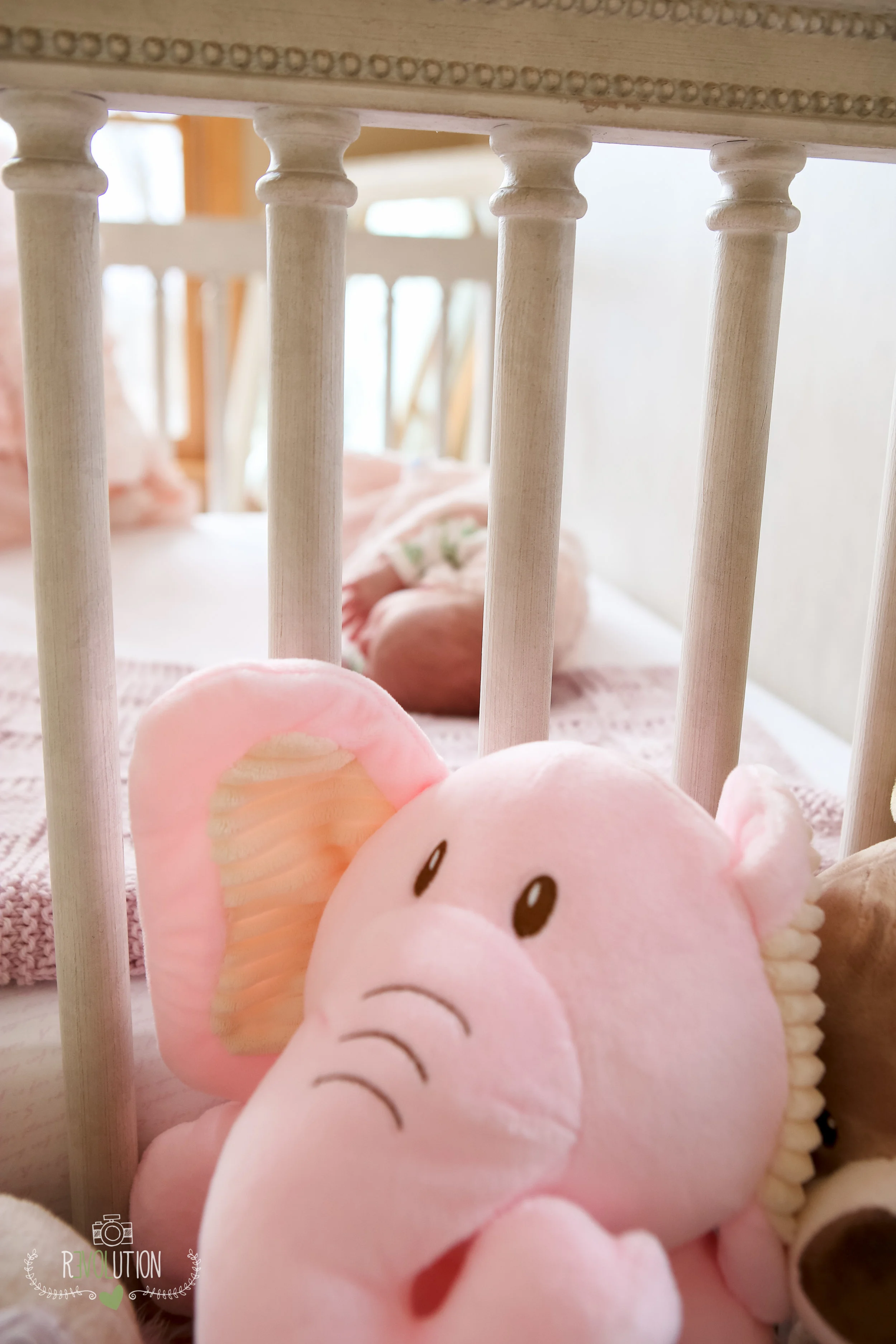 Babies/Kids — Natania Kamin