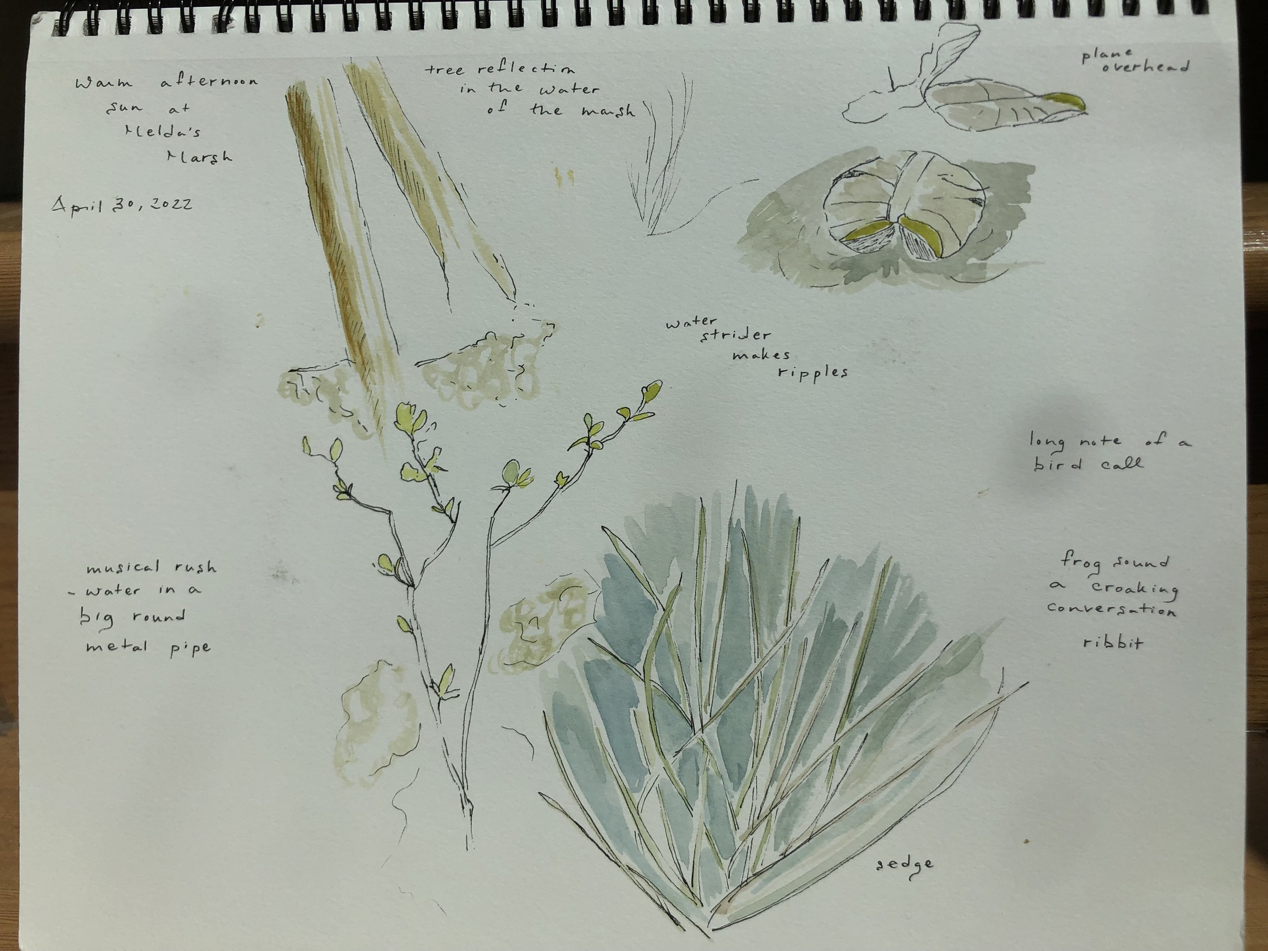 Calendar — The McLoughlin Gardens