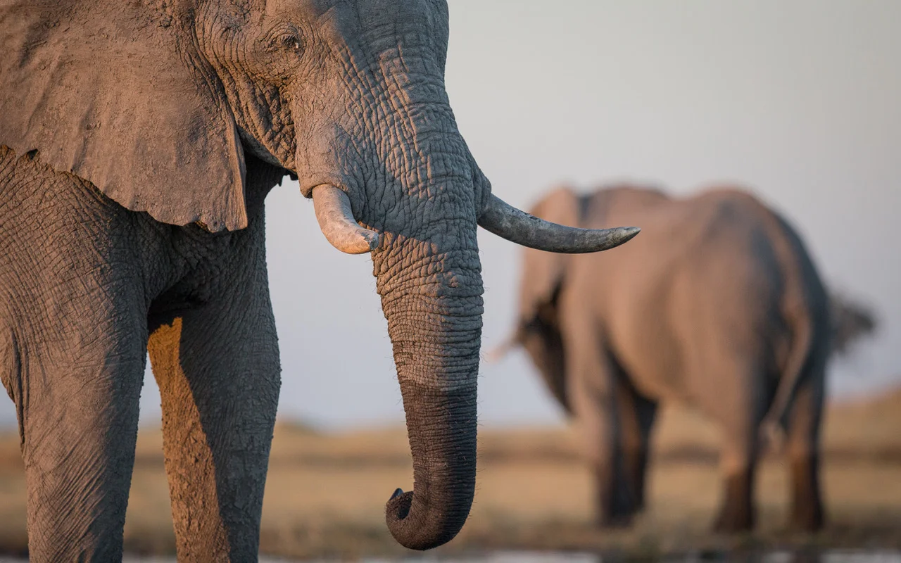 CP COLLECTIVES-Blogs-Interview with a Photographer | James Suter