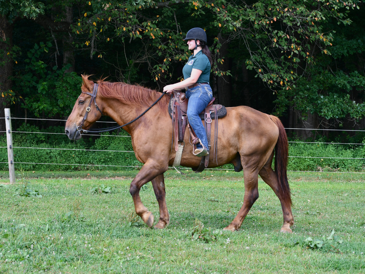 Clifford — Gentle Giants