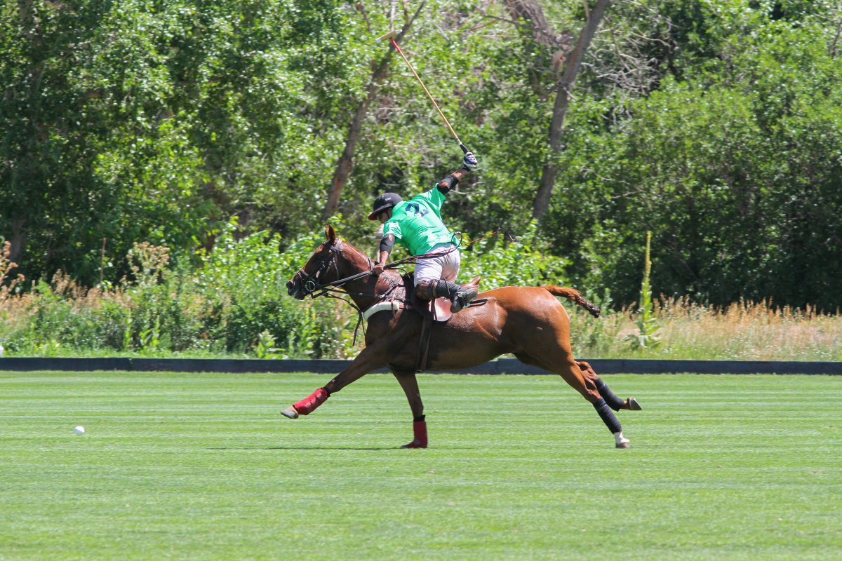 NEWS — Denver Polo Club