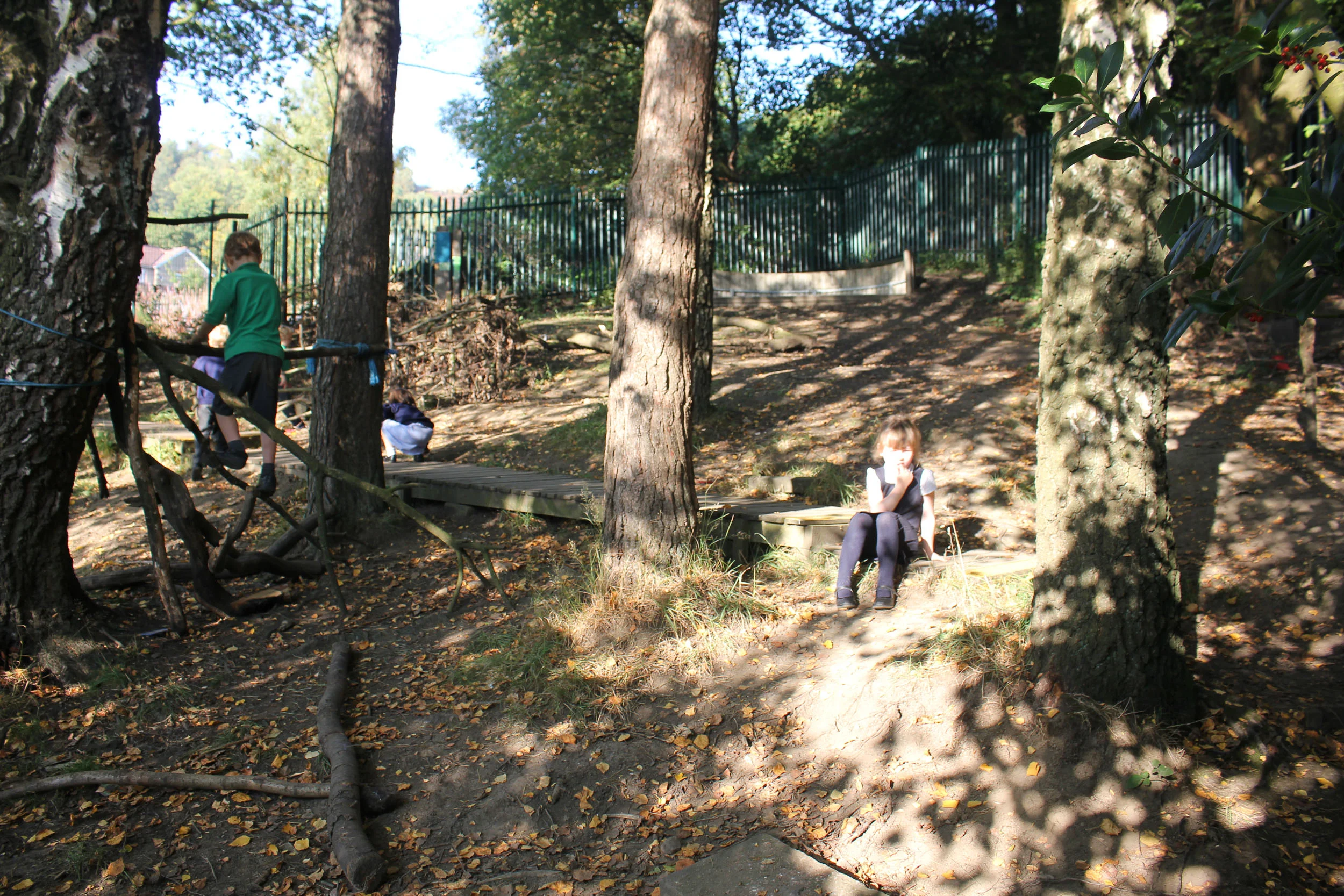 Wild Places — Eightspace