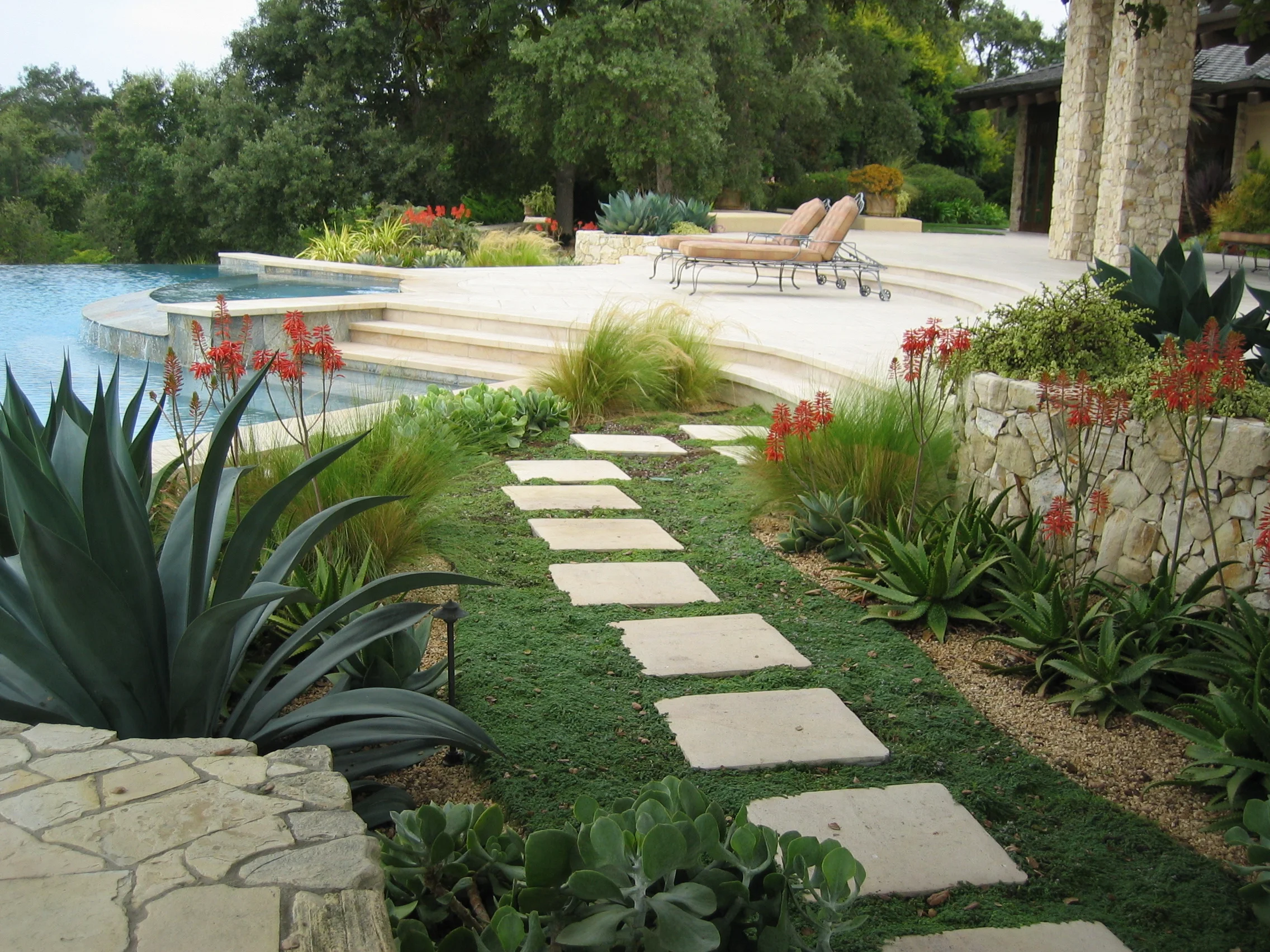 treemendous landscapes — California Landscape Design
