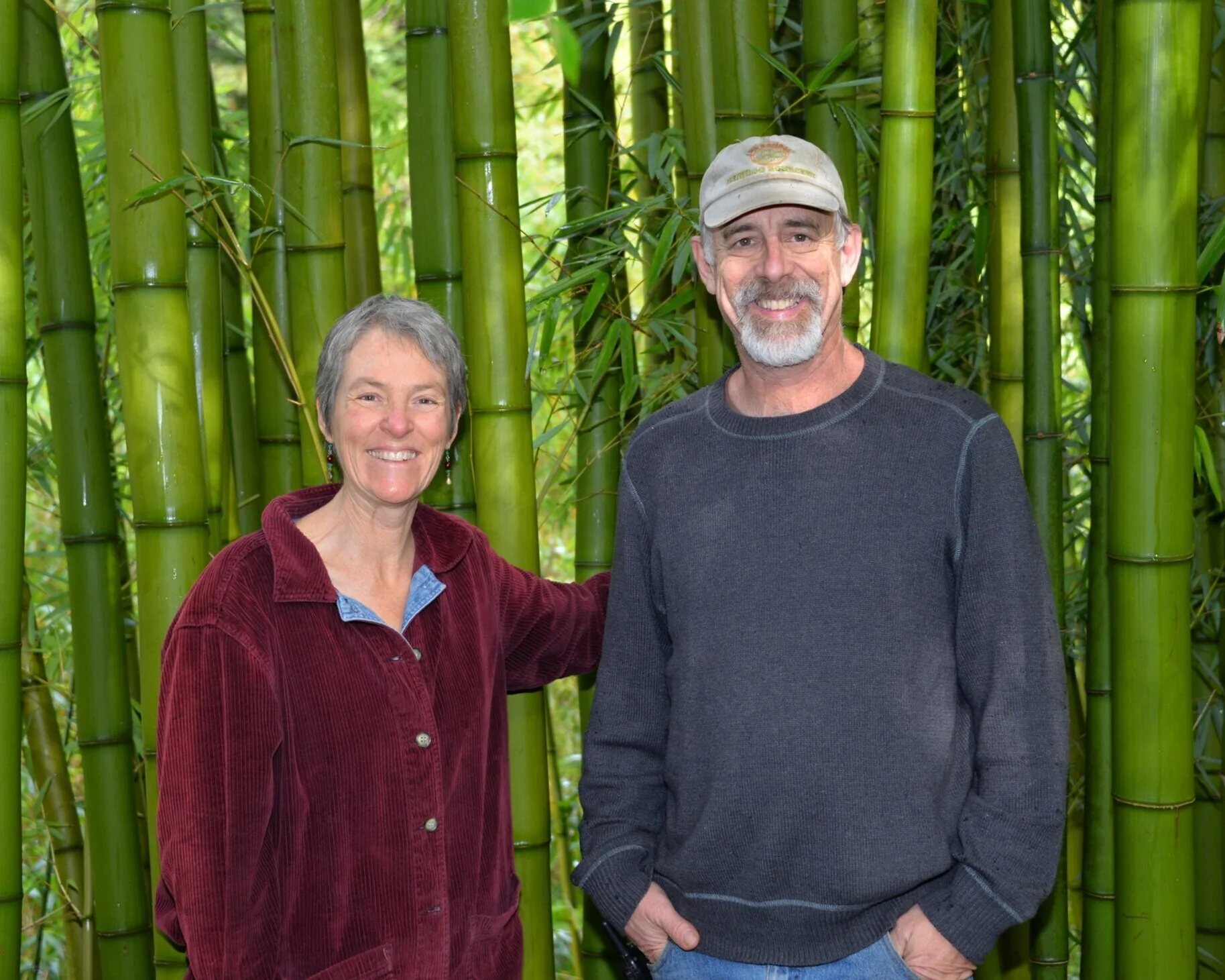 Bamboo — California Landscape Design