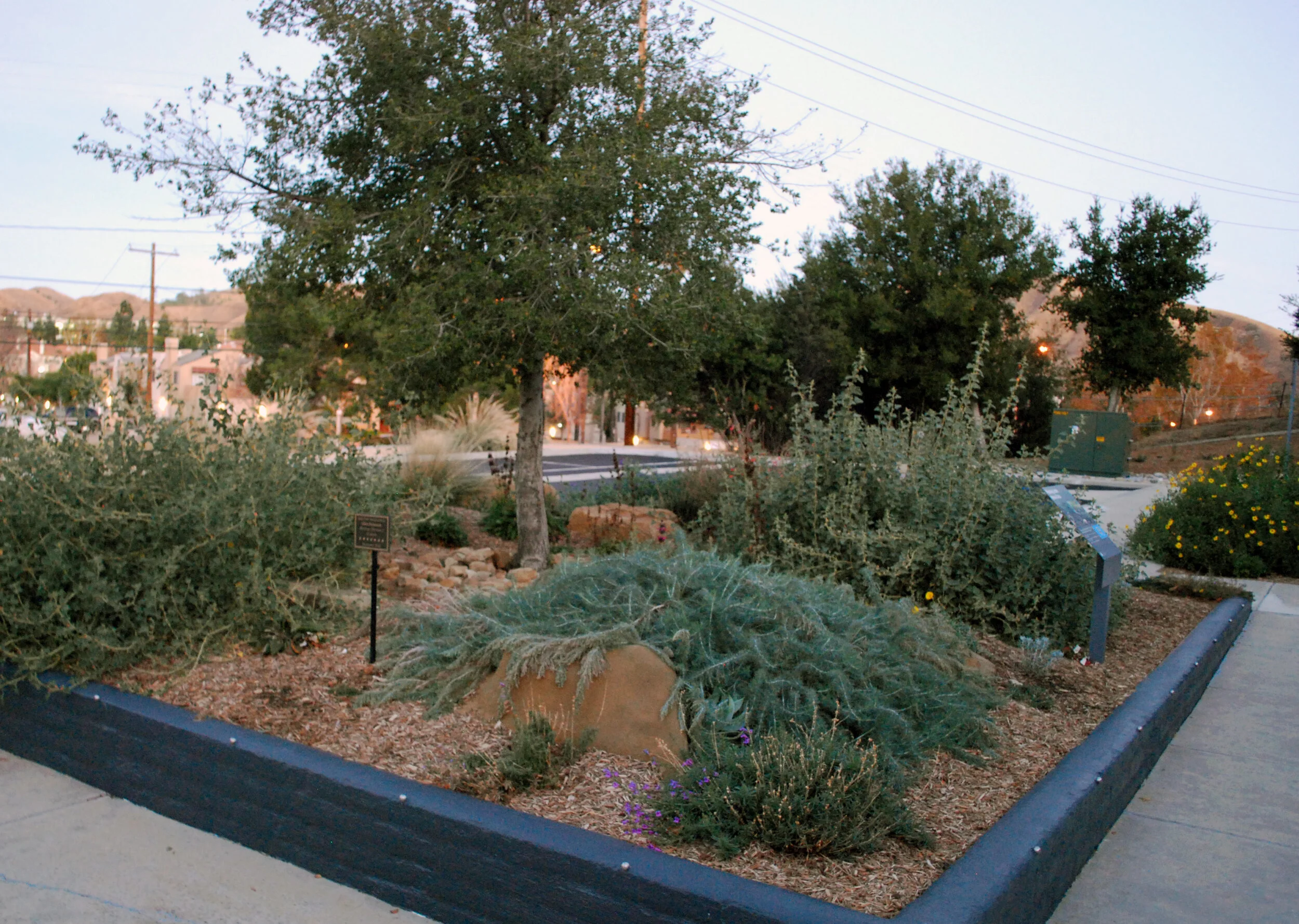 Pure Water Sustainability Garden — California Landscape Design