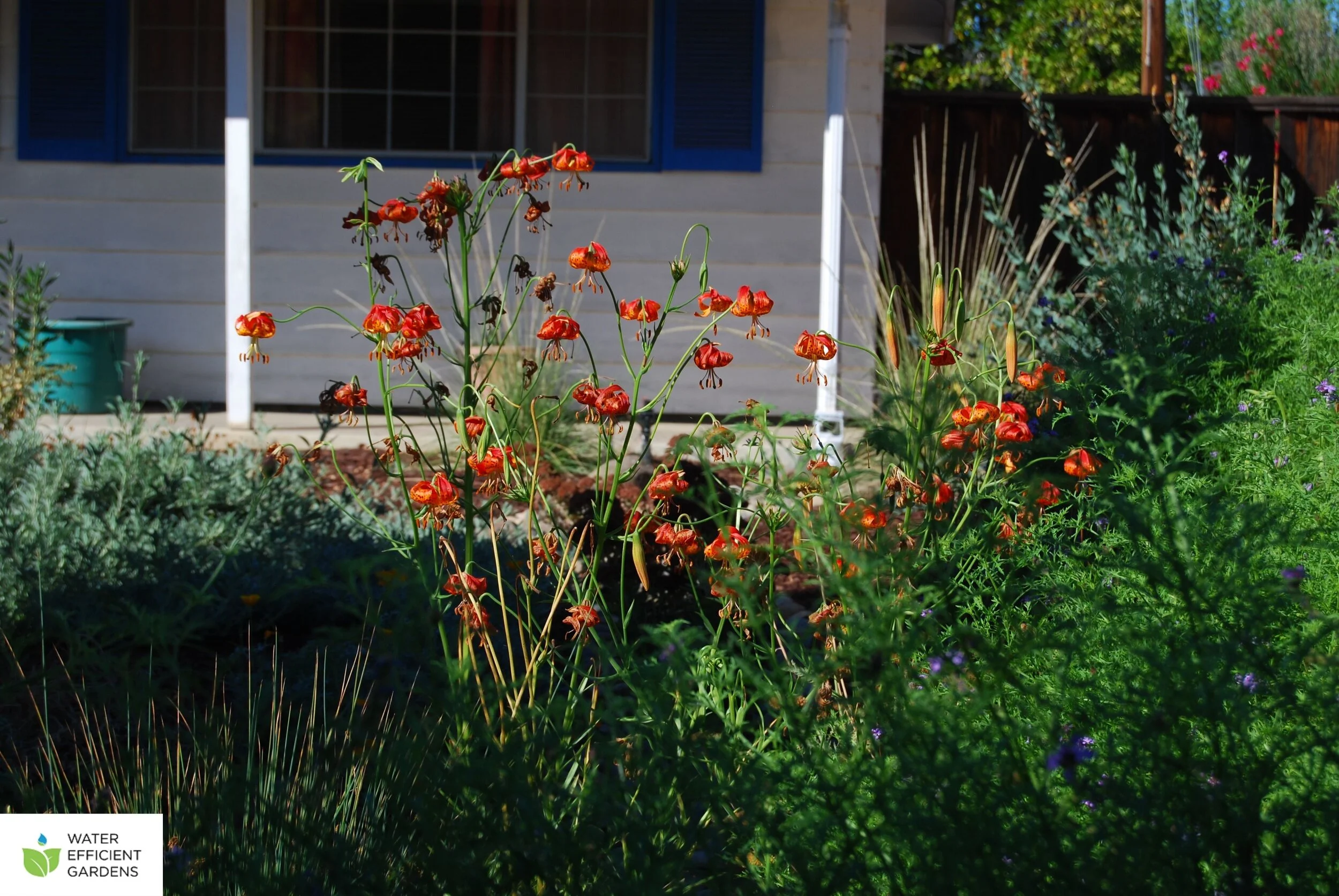 PRESERVING BIODIVERSITY — California Landscape Design