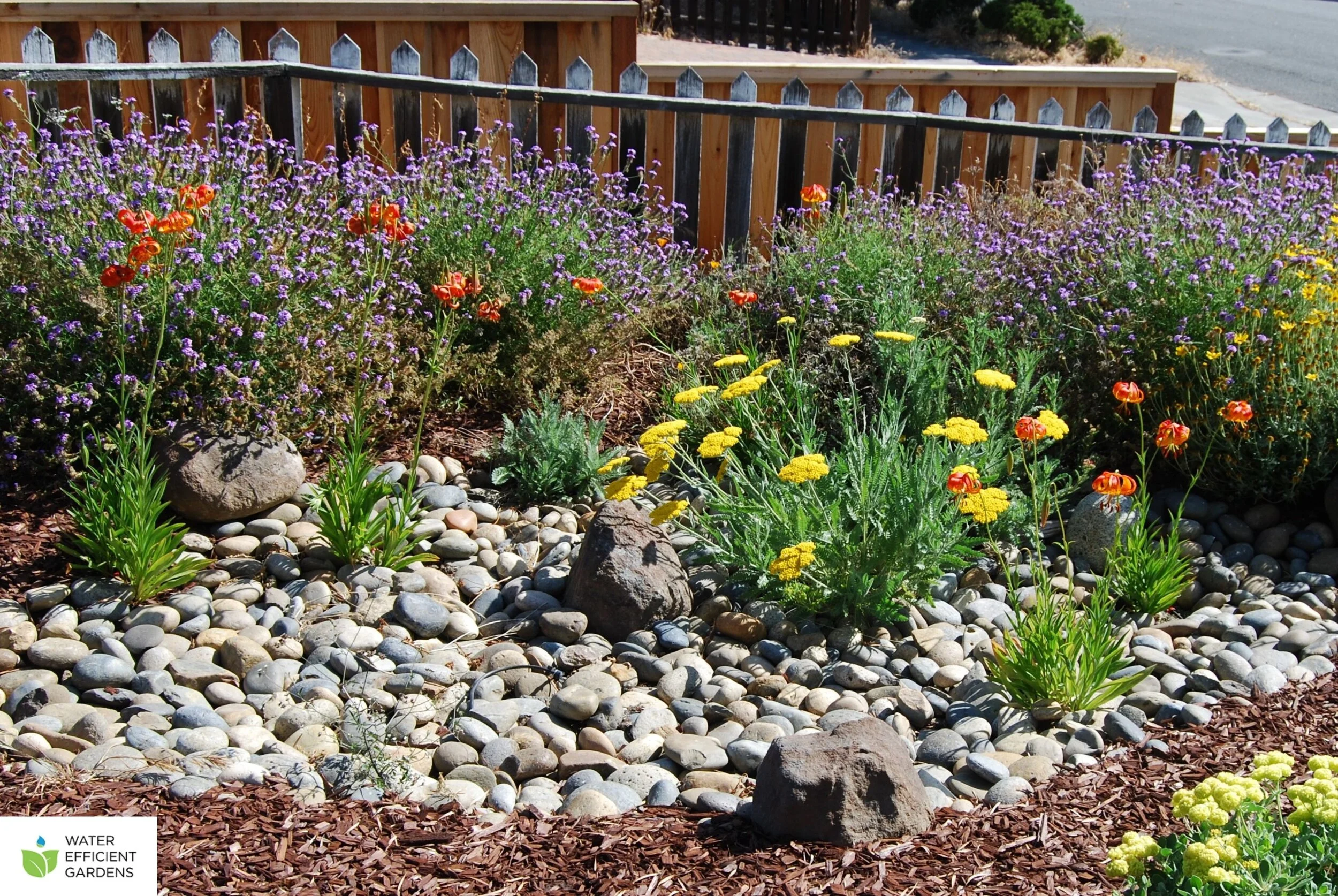 PRESERVING BIODIVERSITY — California Landscape Design