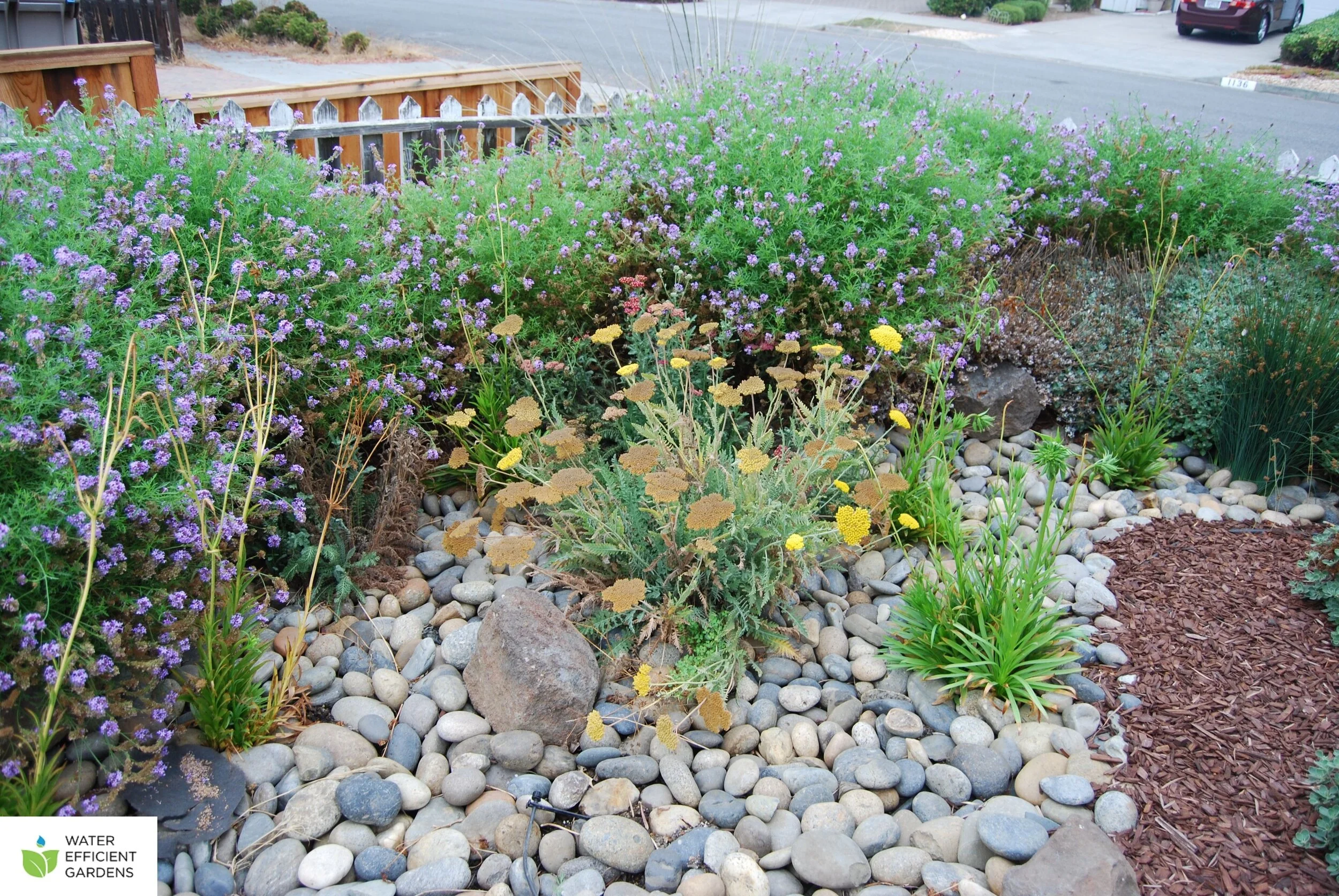 PRESERVING BIODIVERSITY — California Landscape Design