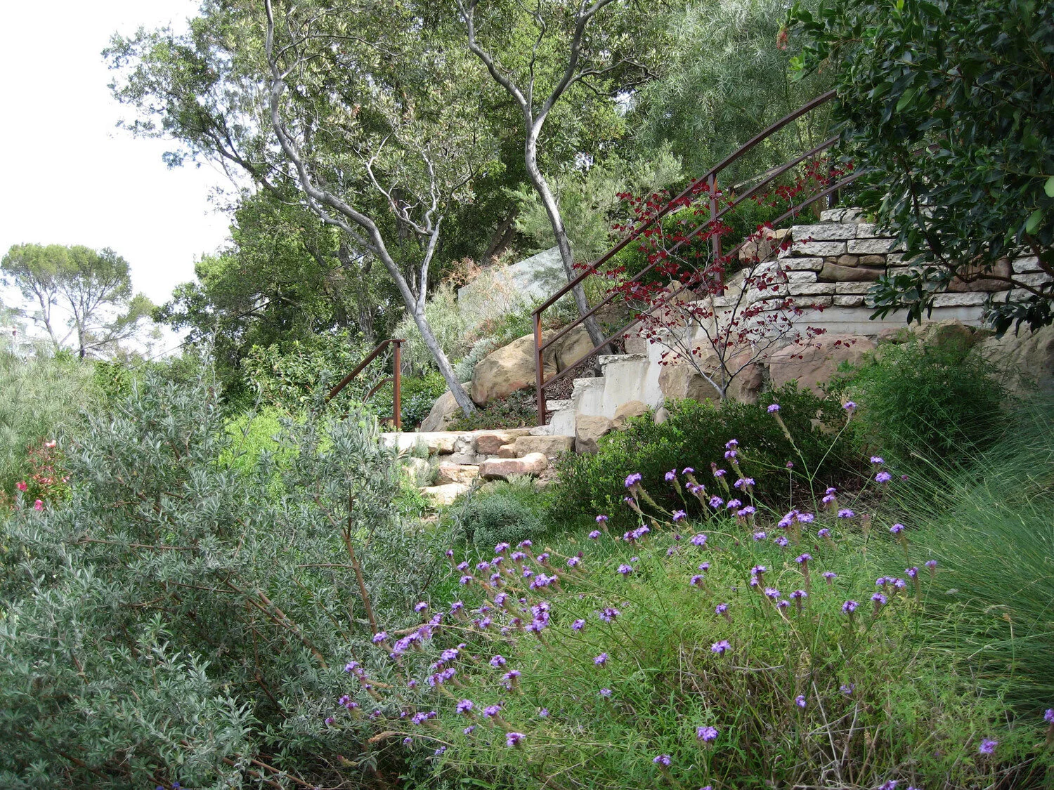 SUMMER 2021 — California Landscape Design