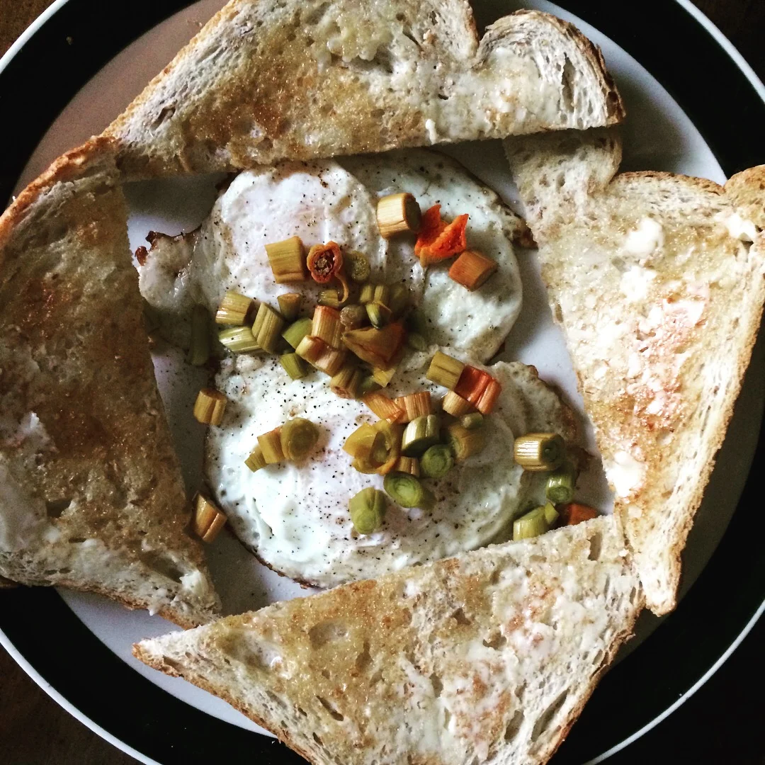 Daylily Pickles — Four Season Foraging