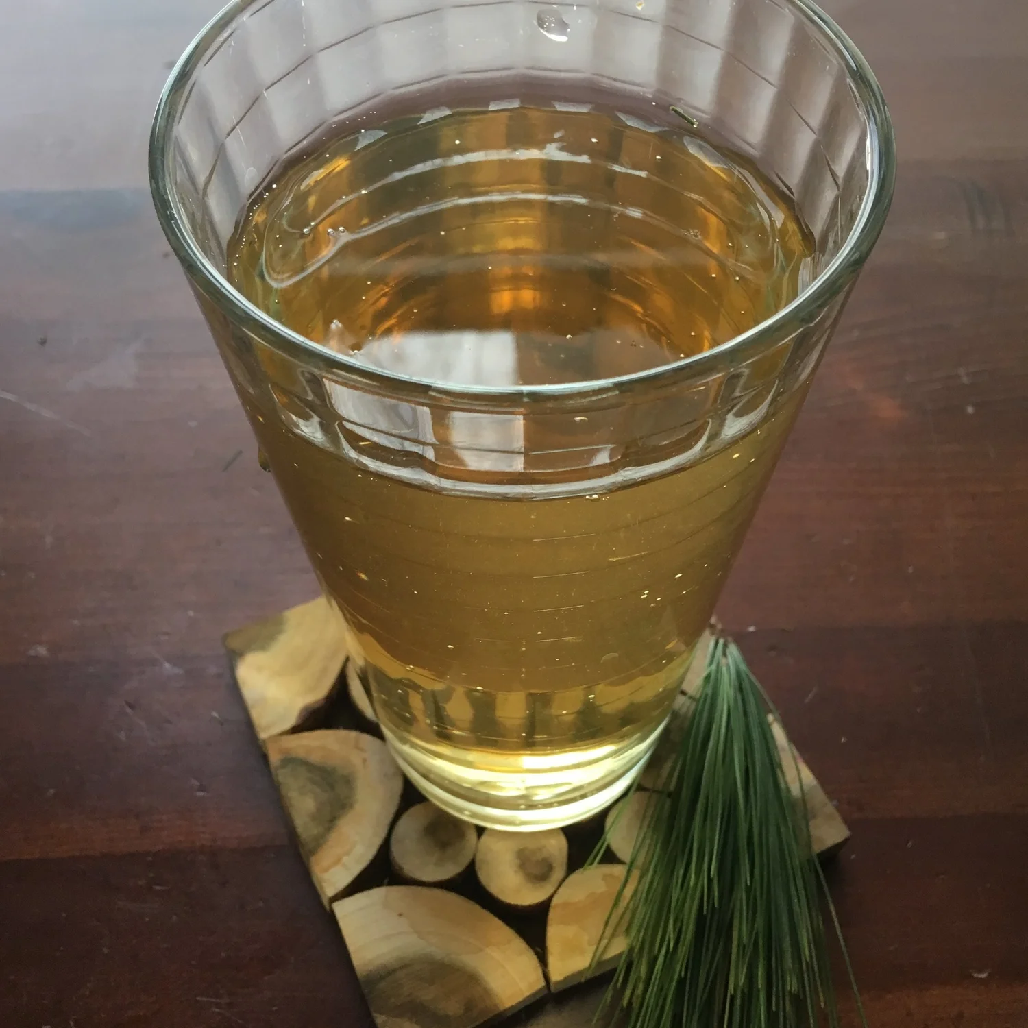 White Pine Vinegar — Four Season Foraging