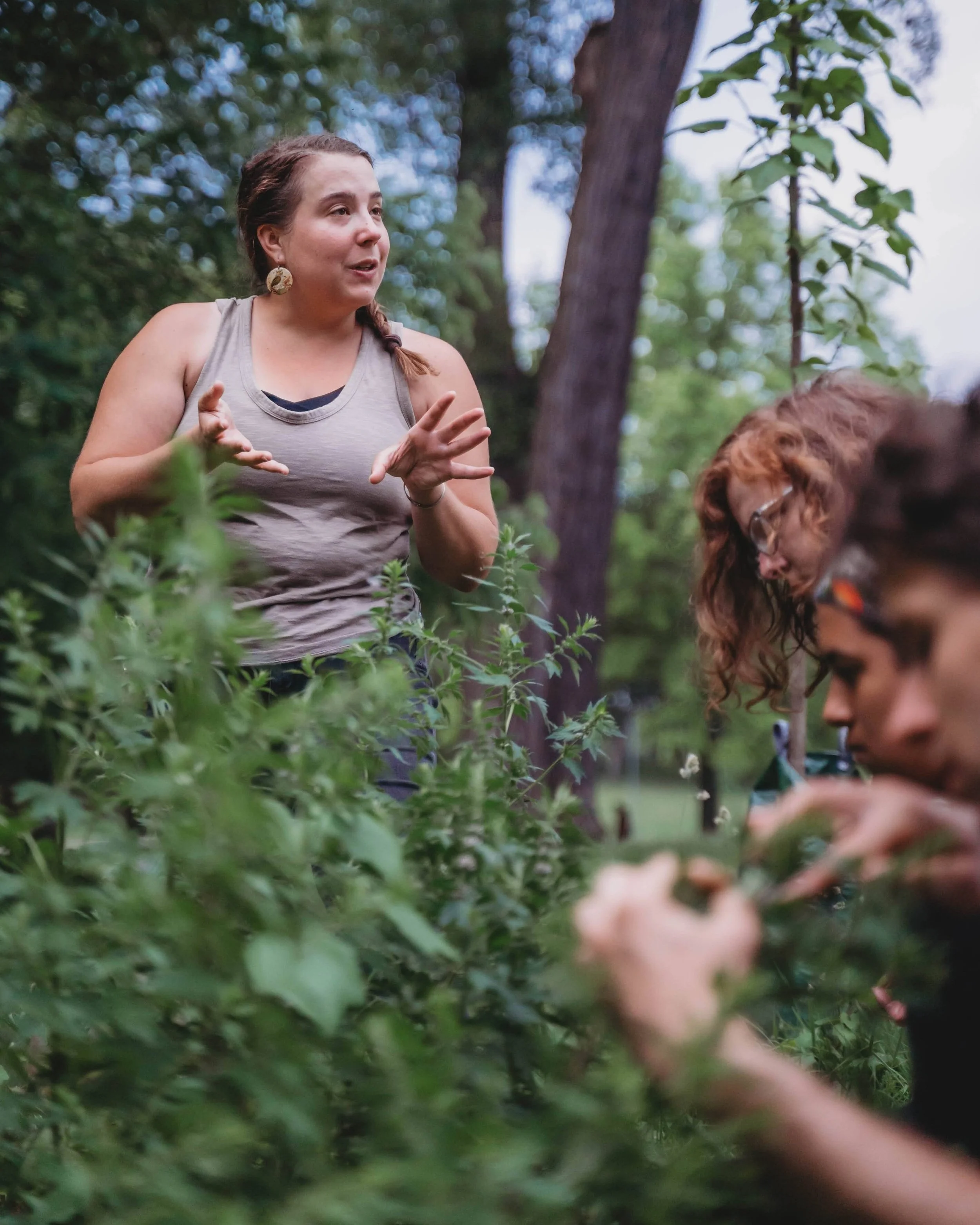 Support Accessible Foraging Education — Four Season Foraging