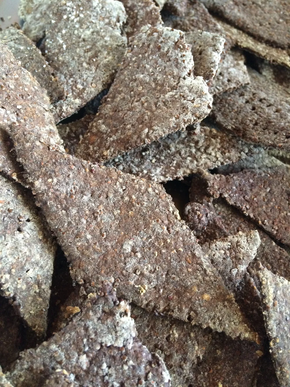 Curly Dock: A Plant for Year-Round Sustenance — Four Season Foraging