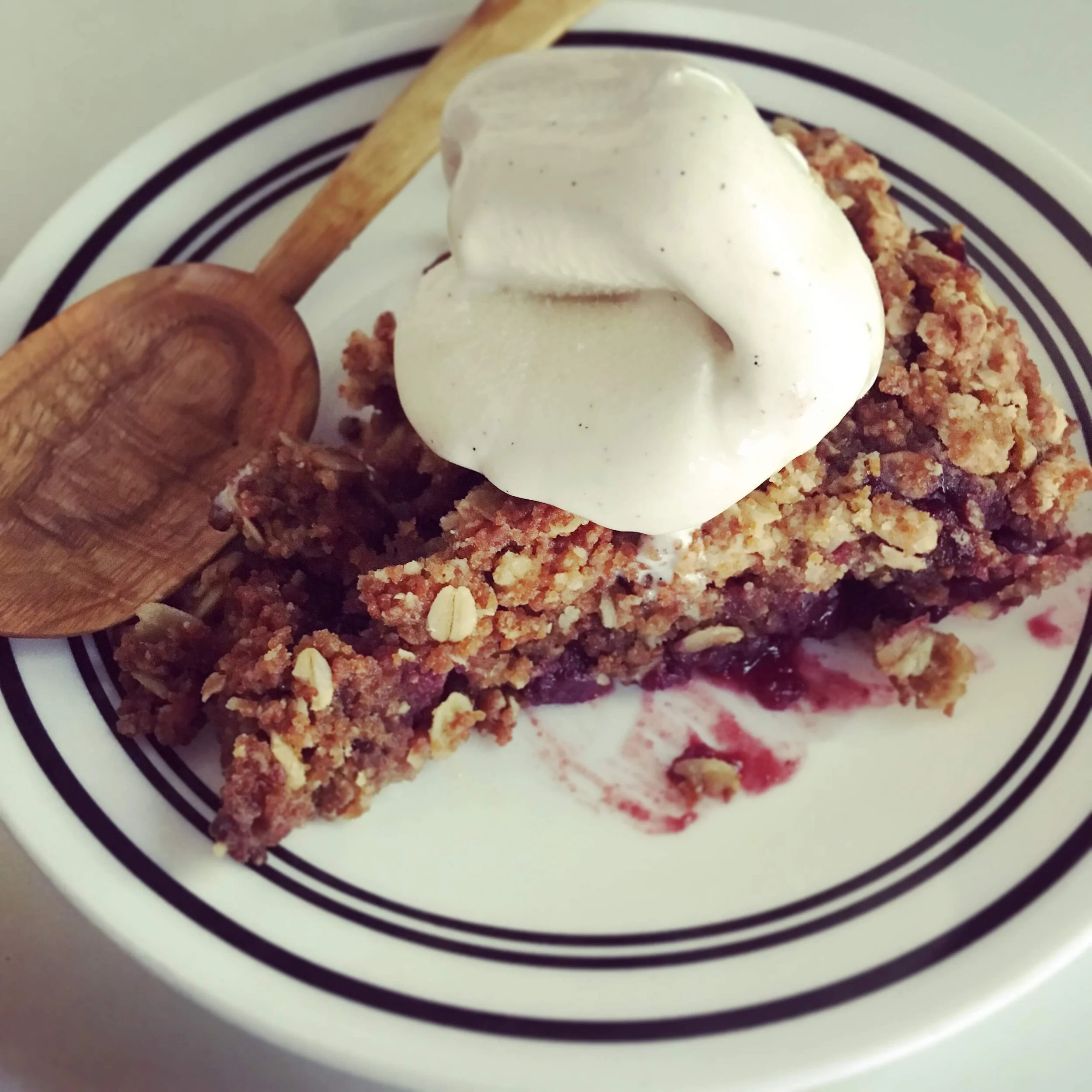 White Mulberry: It's Actually Usually Purple — Four Season Foraging