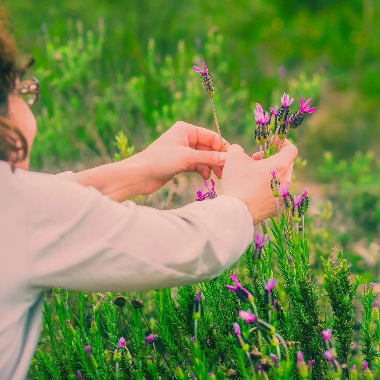 Four Season Foraging — Workshops and Classes