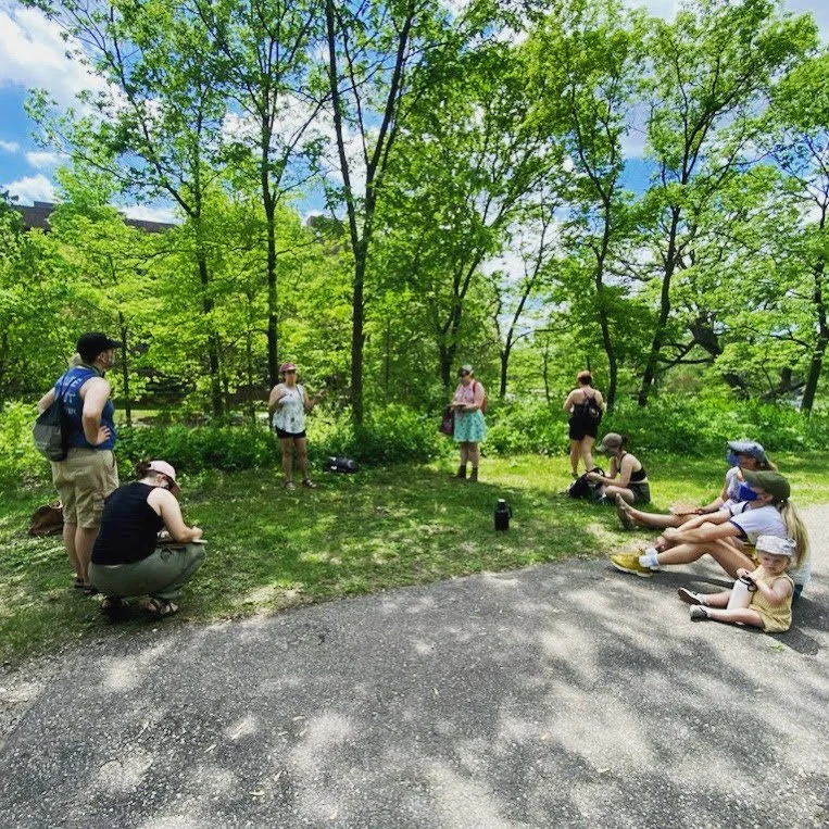 Four Season Foraging — Workshops and Classes