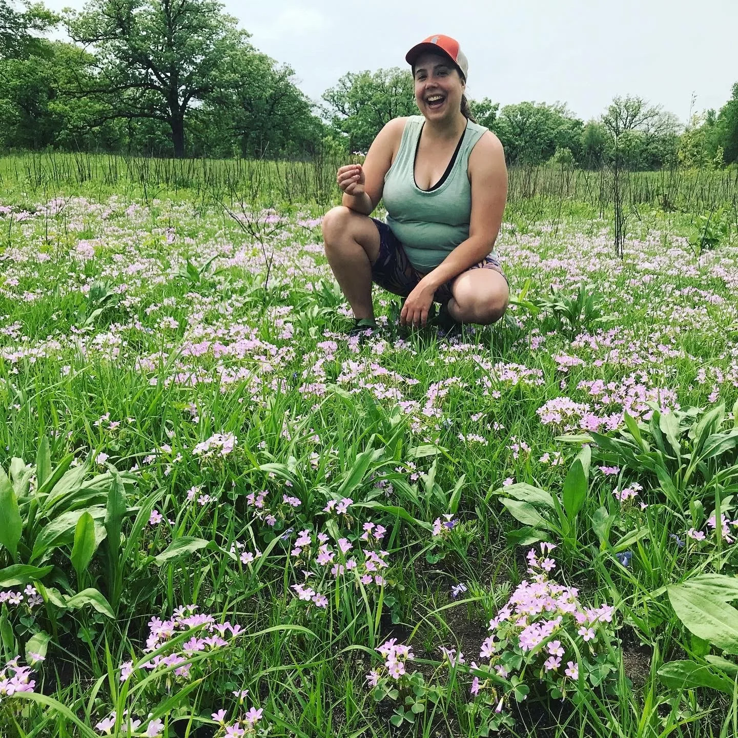 Four Season Foraging — Workshops and Classes