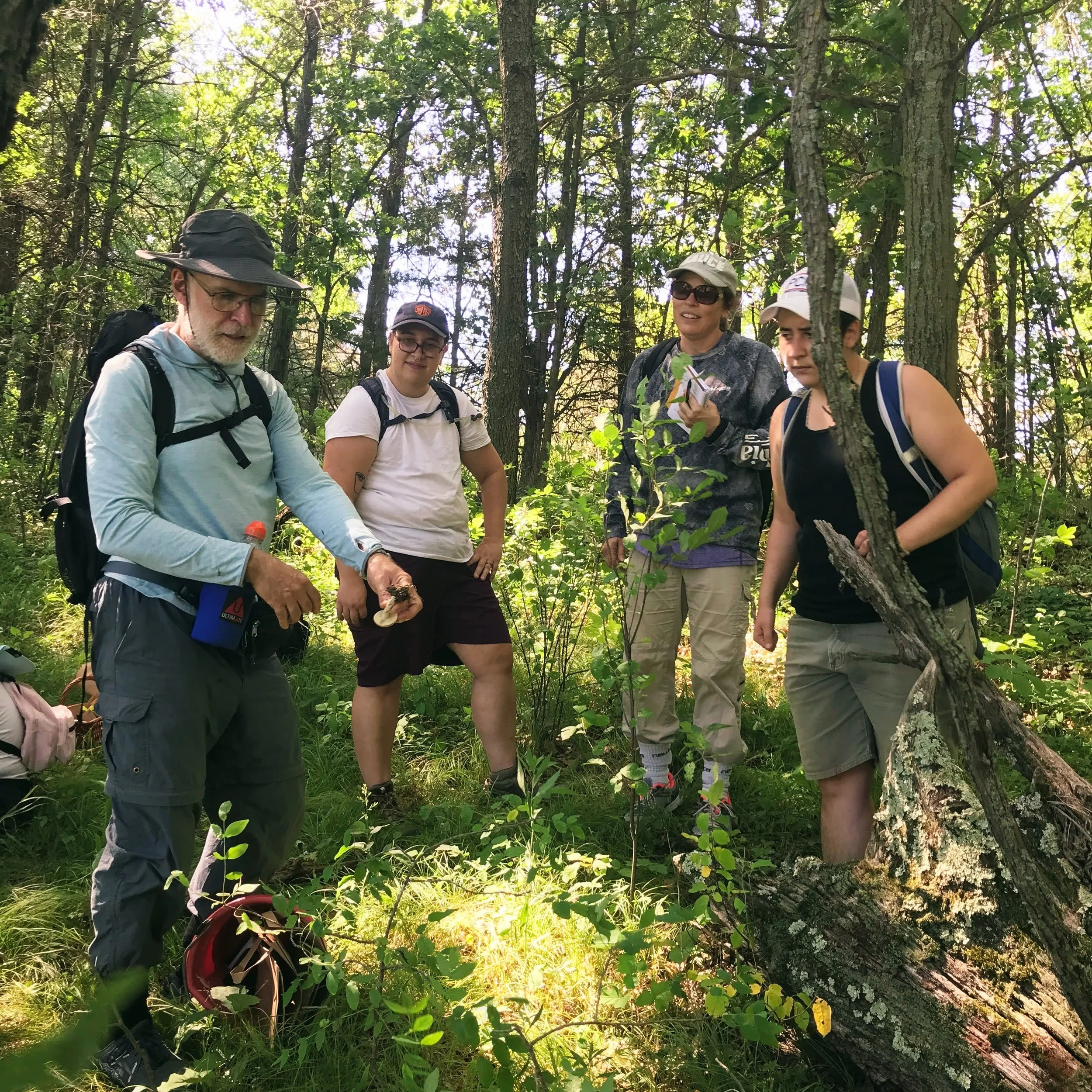 Four Season Foraging — Workshops and Classes