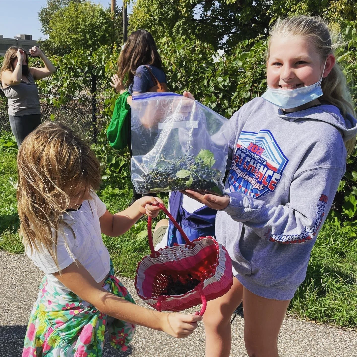 Four Season Foraging — Workshops and Classes