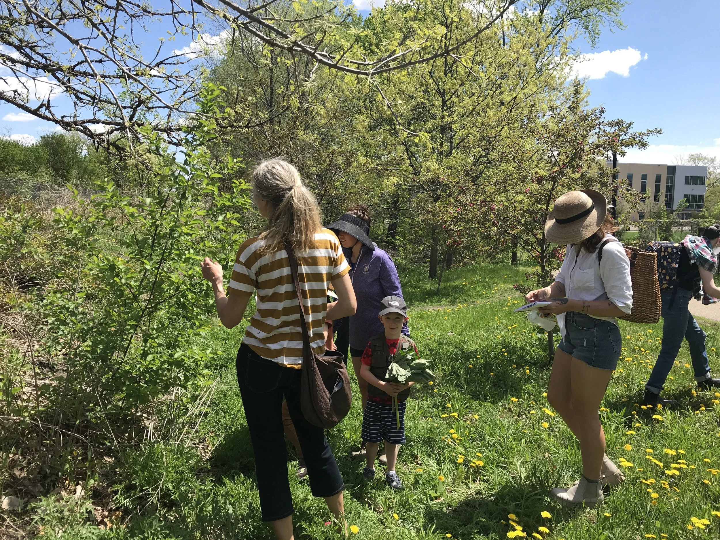 Four Season Foraging — Workshops and Classes
