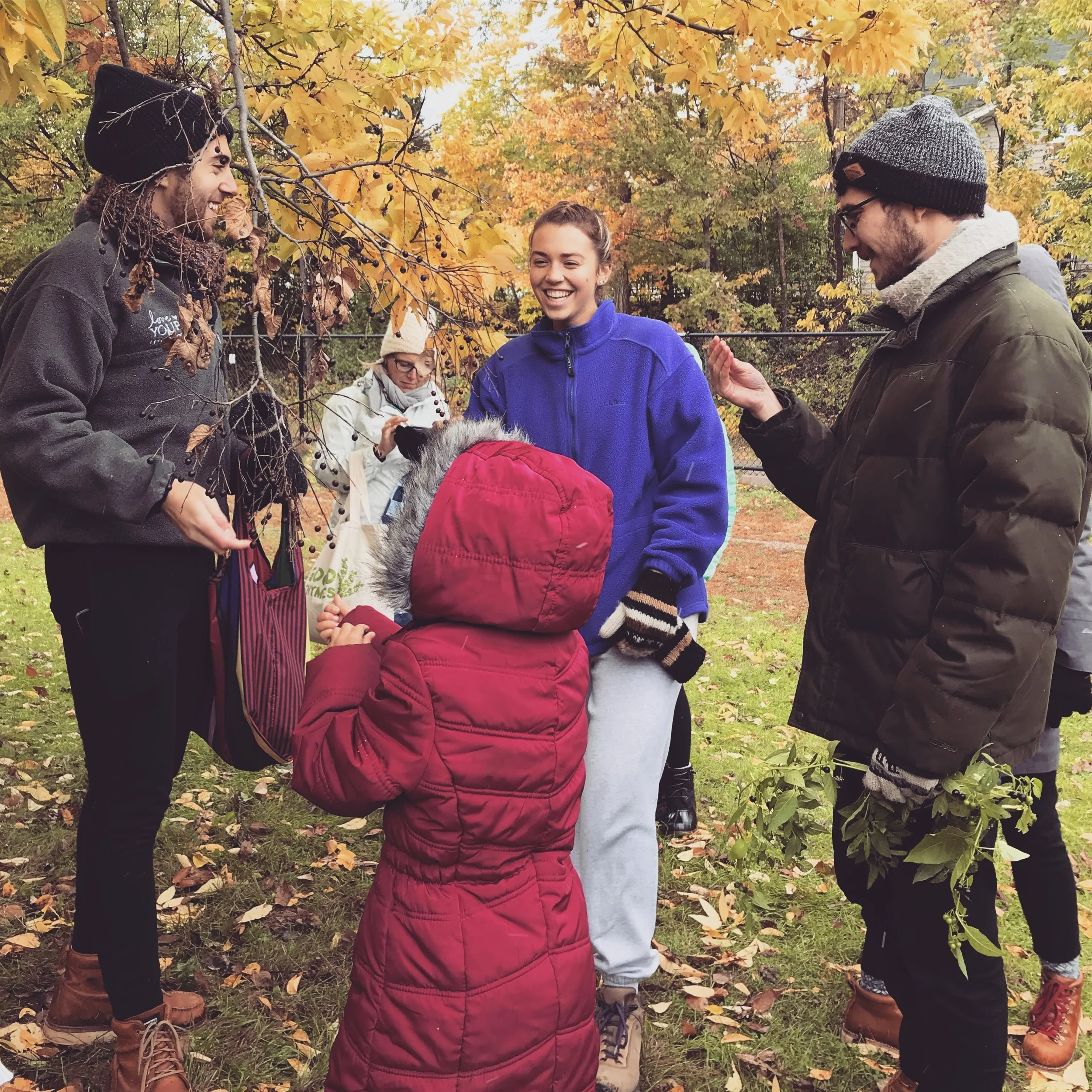 Four Season Foraging — Workshops and Classes
