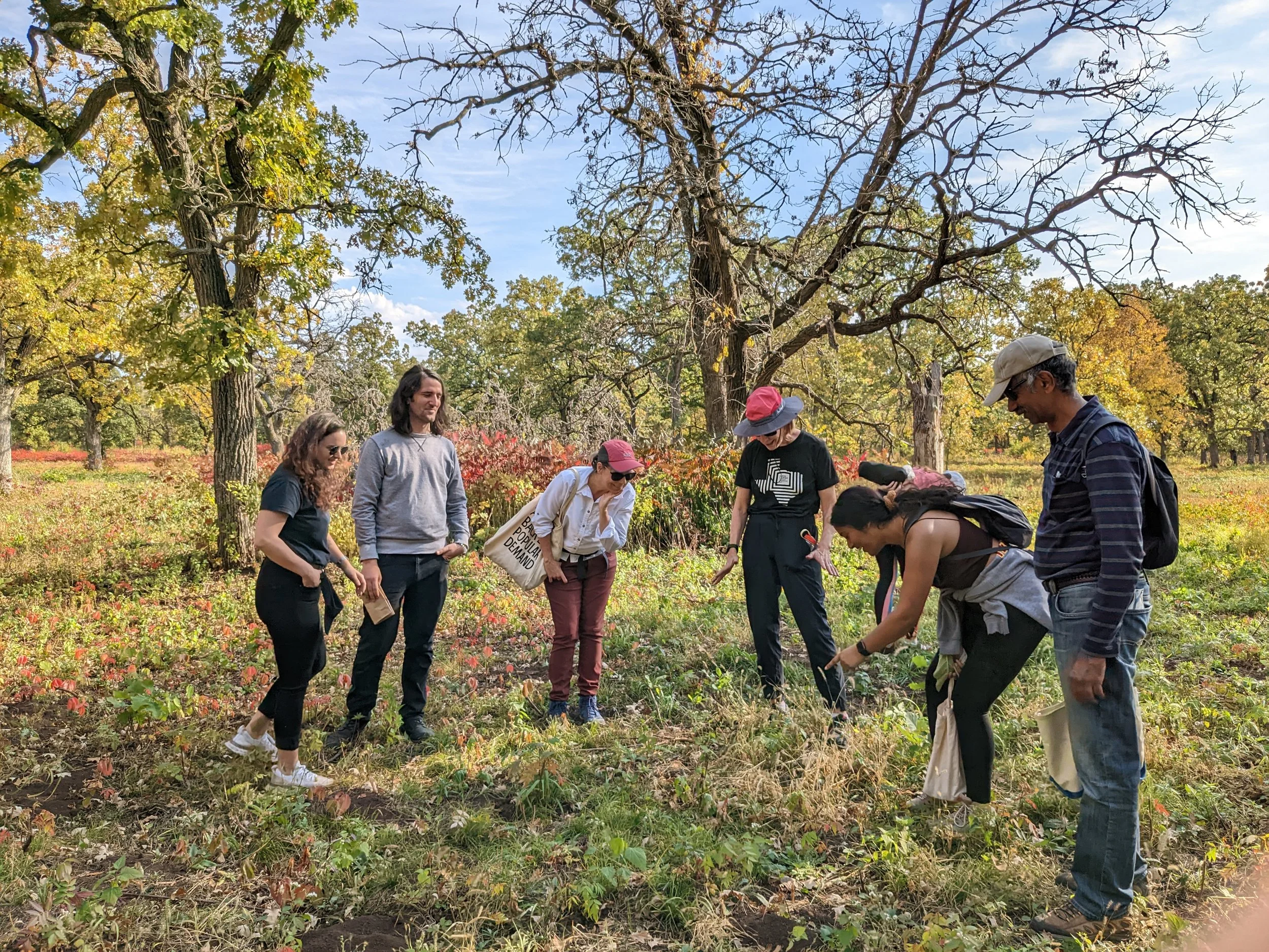 Four Season Foraging — Workshops and Classes
