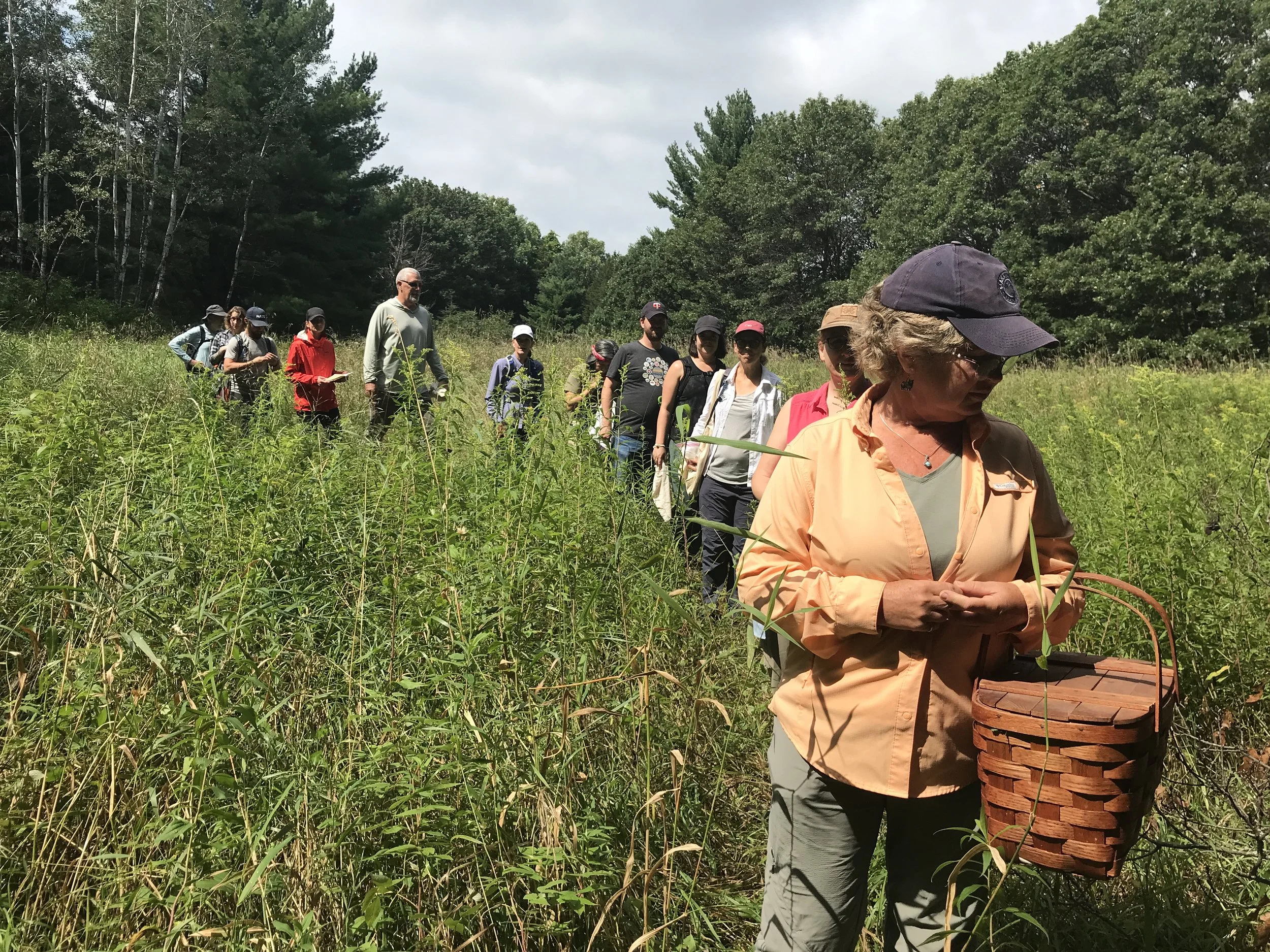 Four Season Foraging — Workshops and Classes