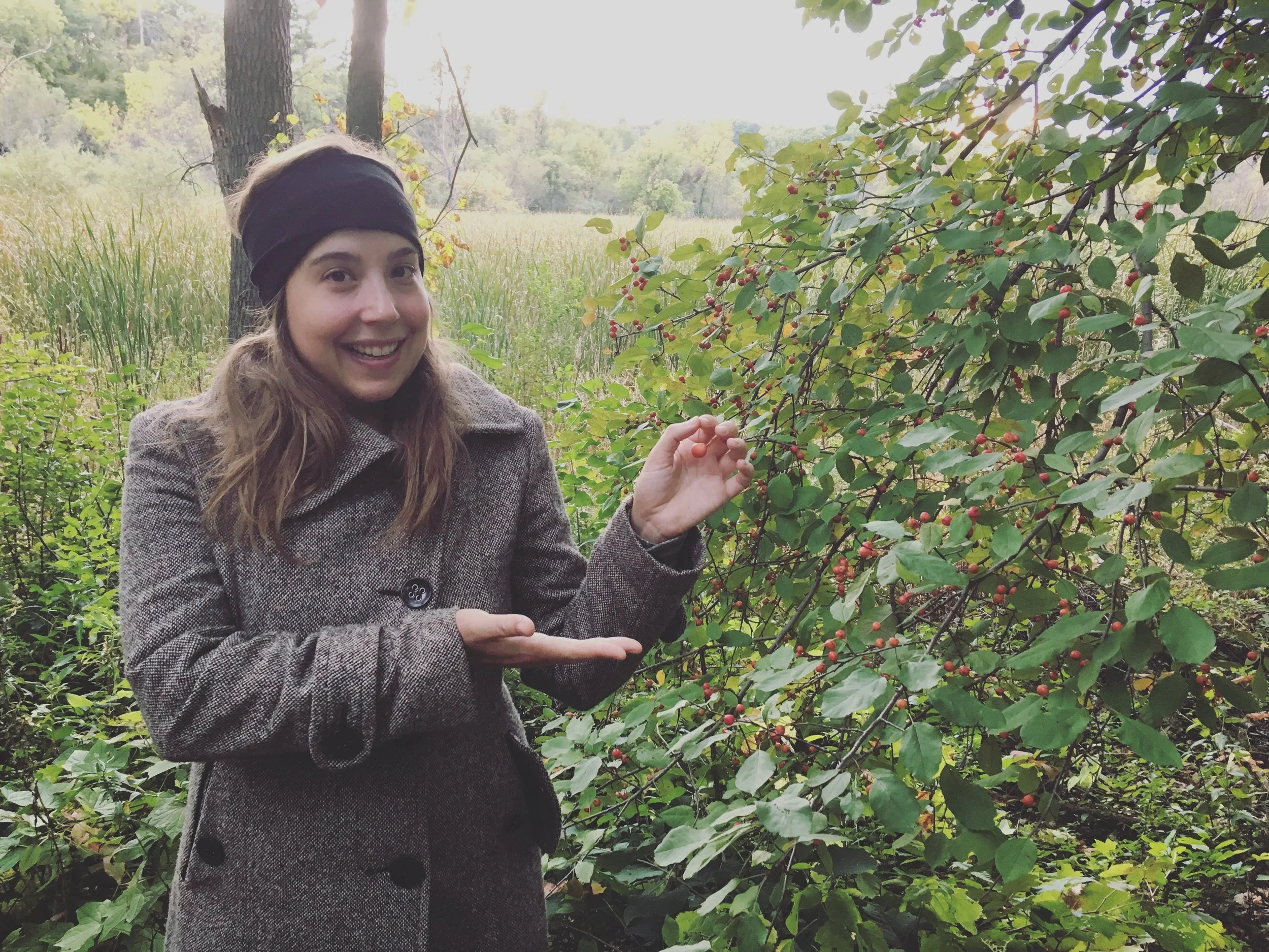 Four Season Foraging — Workshops and Classes