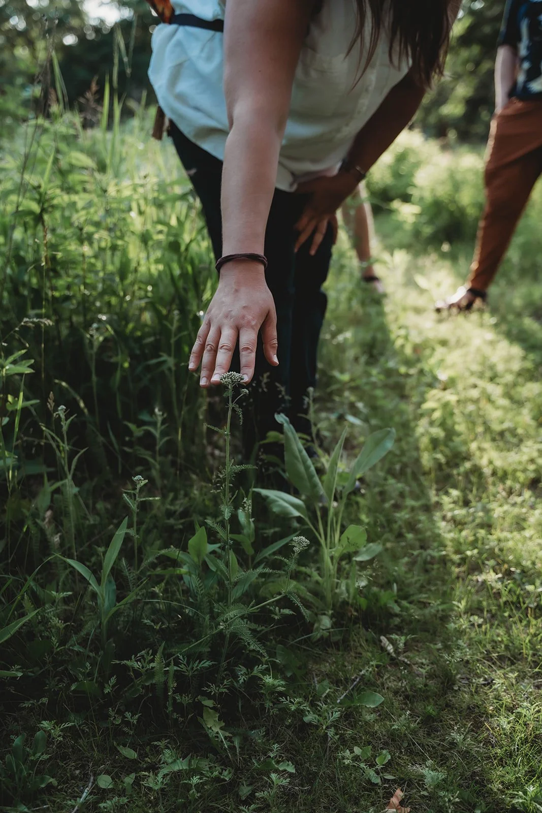 Four Season Foraging — Workshops and Classes