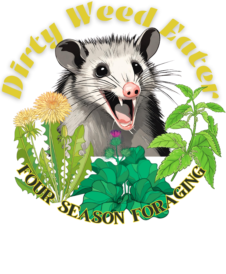 Places to Forage (in the Twin Cities Area and Minnesota) — Four Season ...