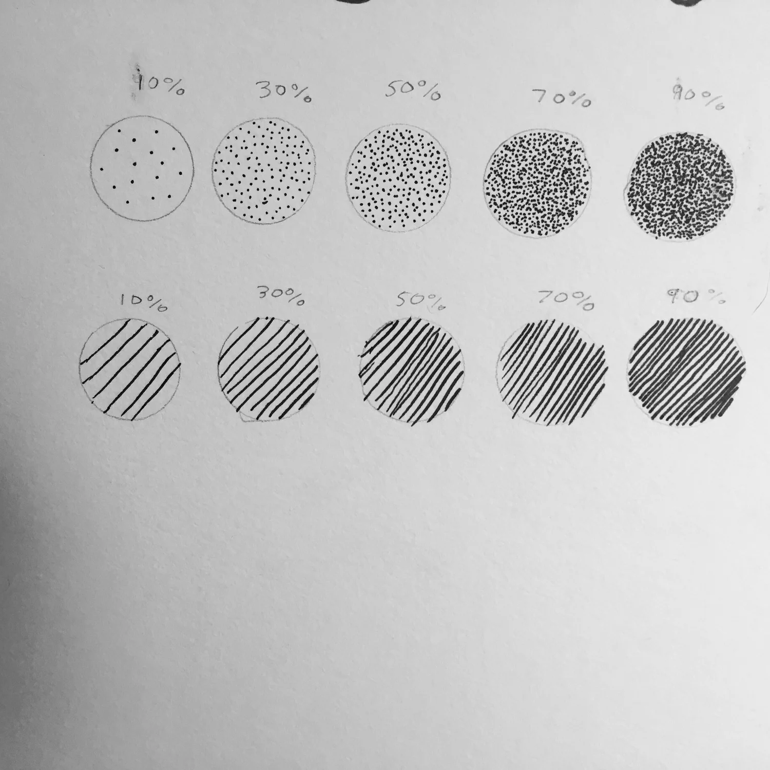 POISONOUS Botanical Drawing — SOLSTICE HANDMADE
