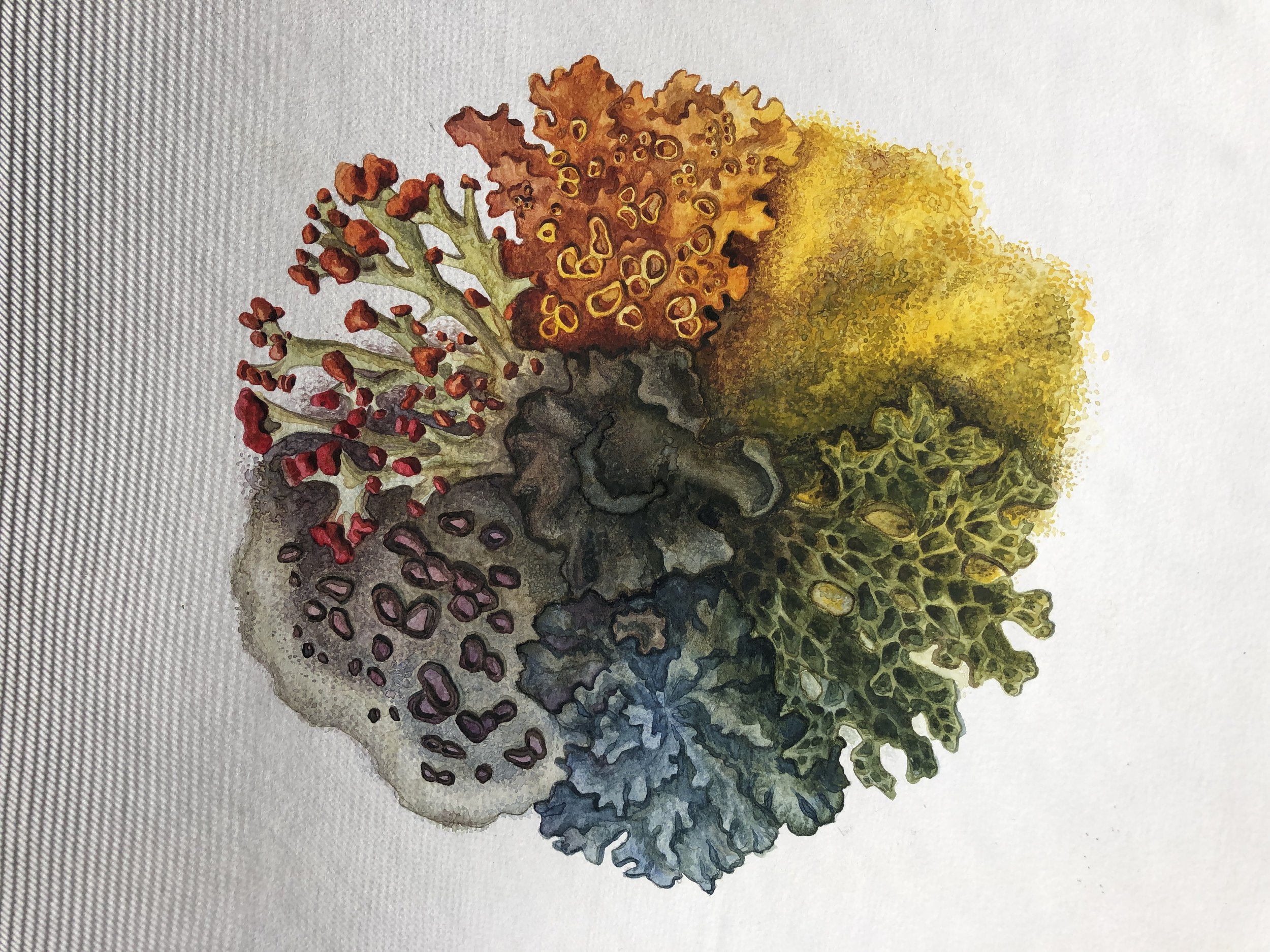 Painting Lichens: Color Theory with Watercolor (Virtual on Zoom) — SOLSTICE HANDMADE