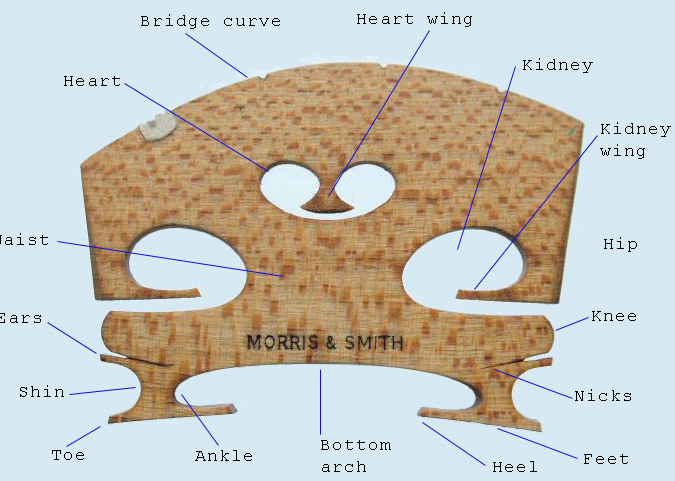 Violin Bridge