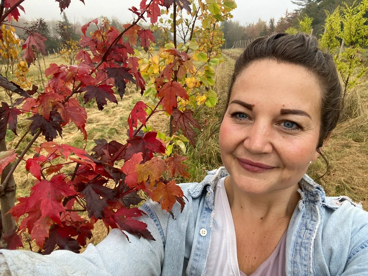 Tabatha White — Heart of Ellsworth