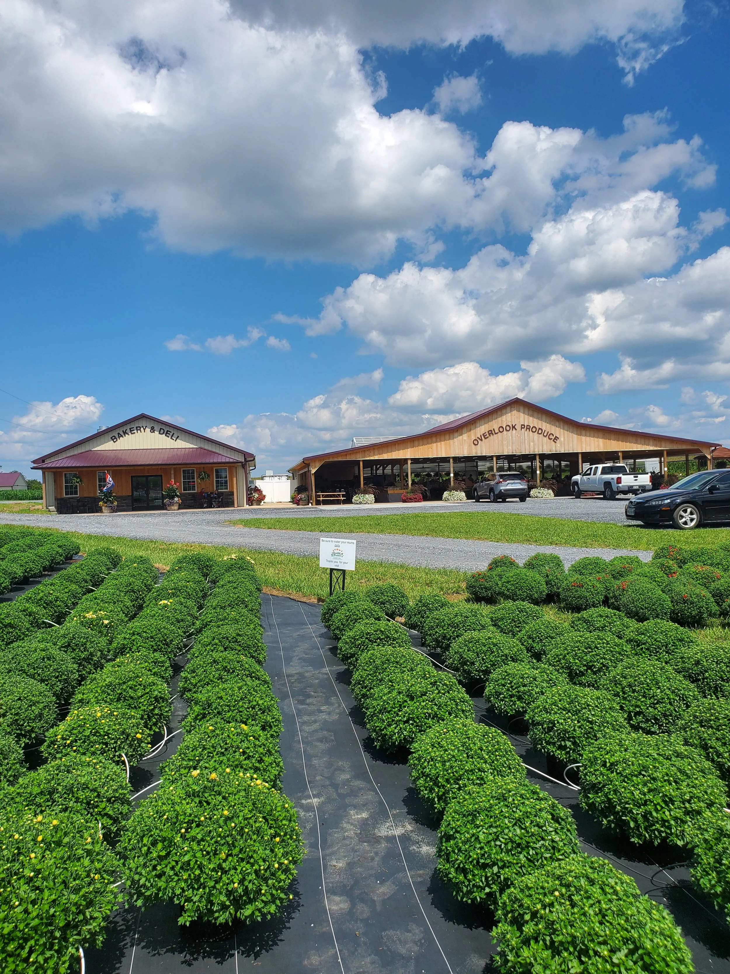 Overlook Produce, Bakery & Deli