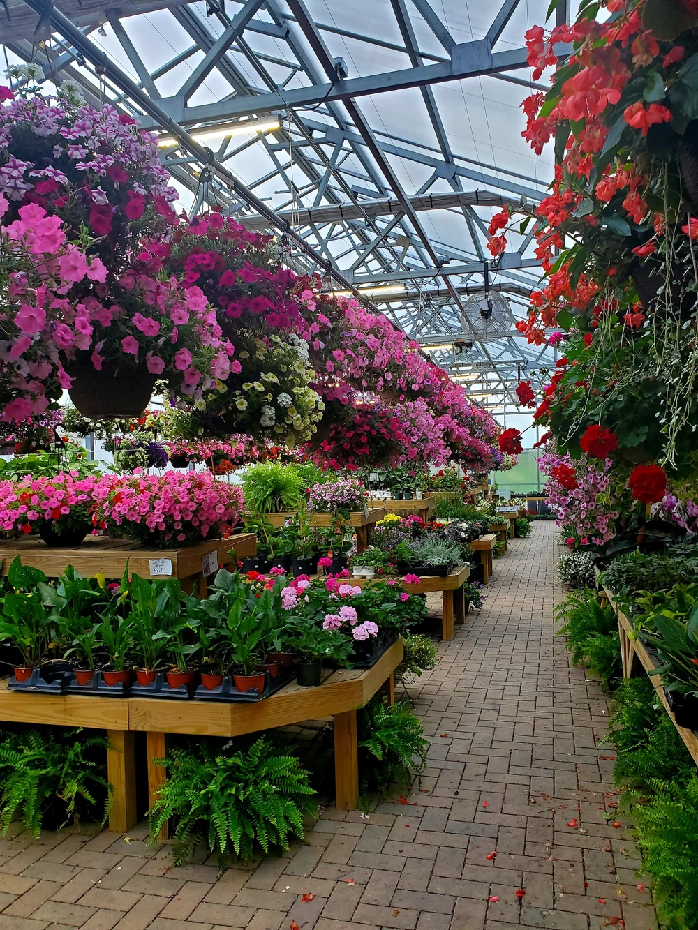 Overlook Produce, Bakery & Deli