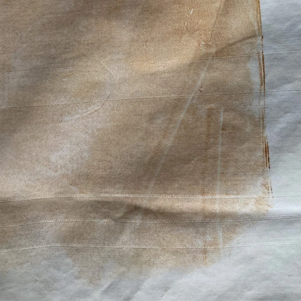 BLOG — Bobbi Baugh StudioArtwork Galleries - Bobbi Baugh Art Studio