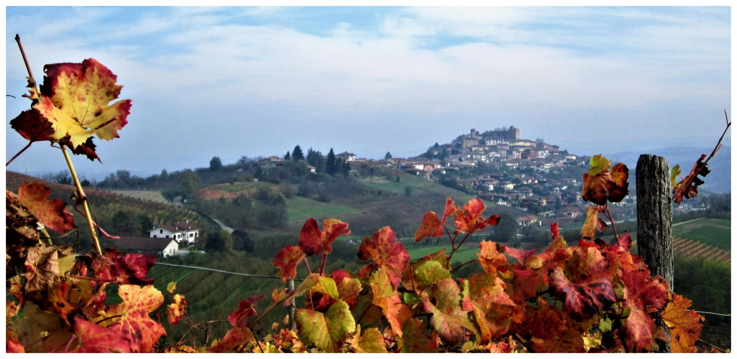 RODDI — Welcome Langhe Roero