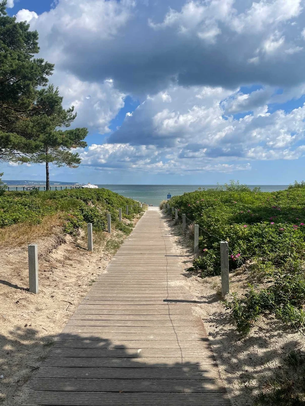 Binz, Germany Travel Guide: Top Sights, Eats, and Tips for Rügen Island ...