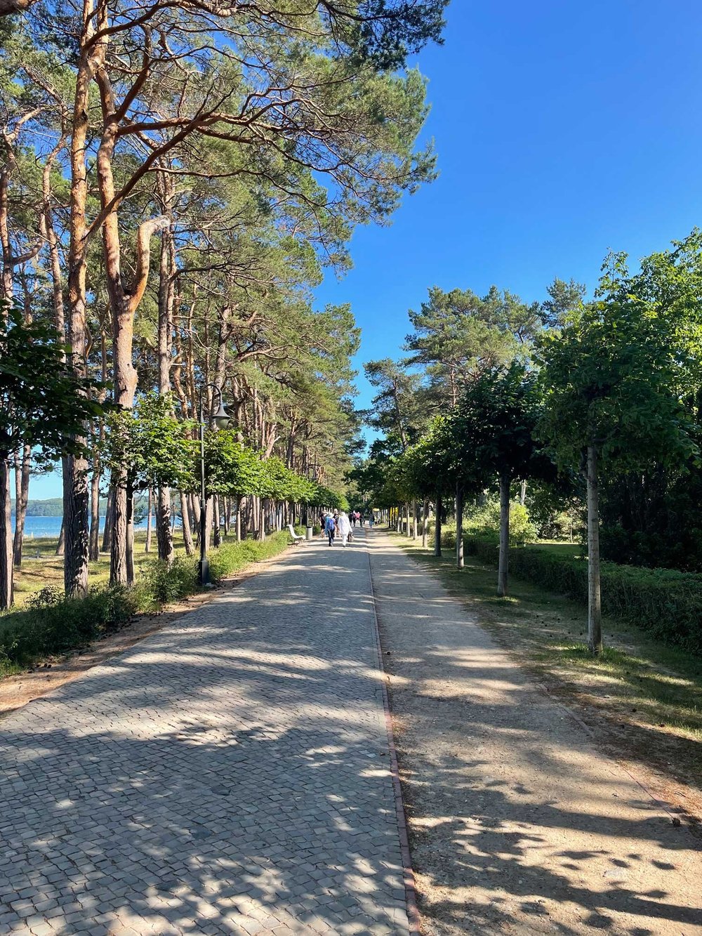 Binz, Germany Travel Guide: Top Sights, Eats, and Tips for Rügen Island ...