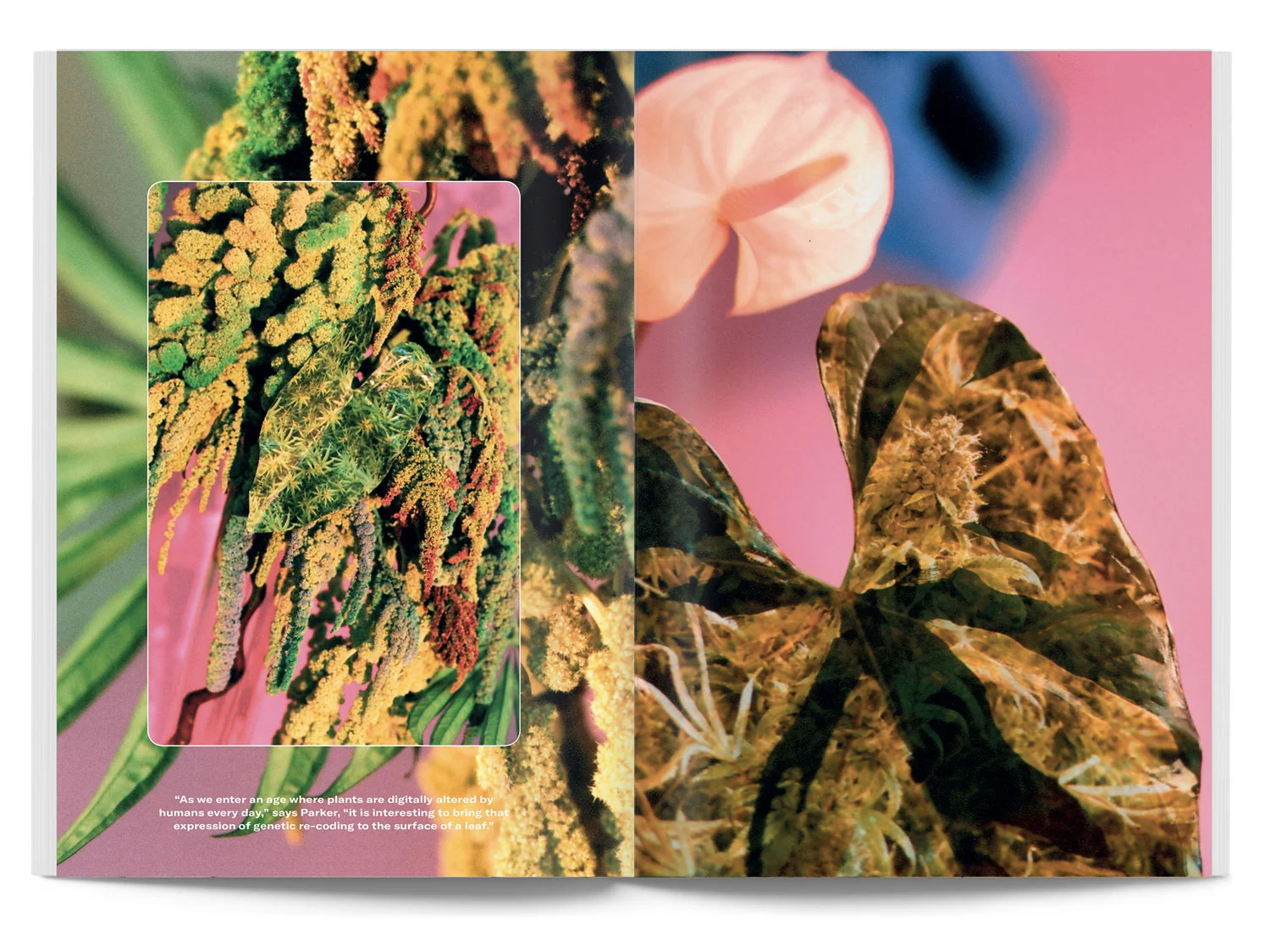 Broccoli - A Magazine for Cannabis Lovers