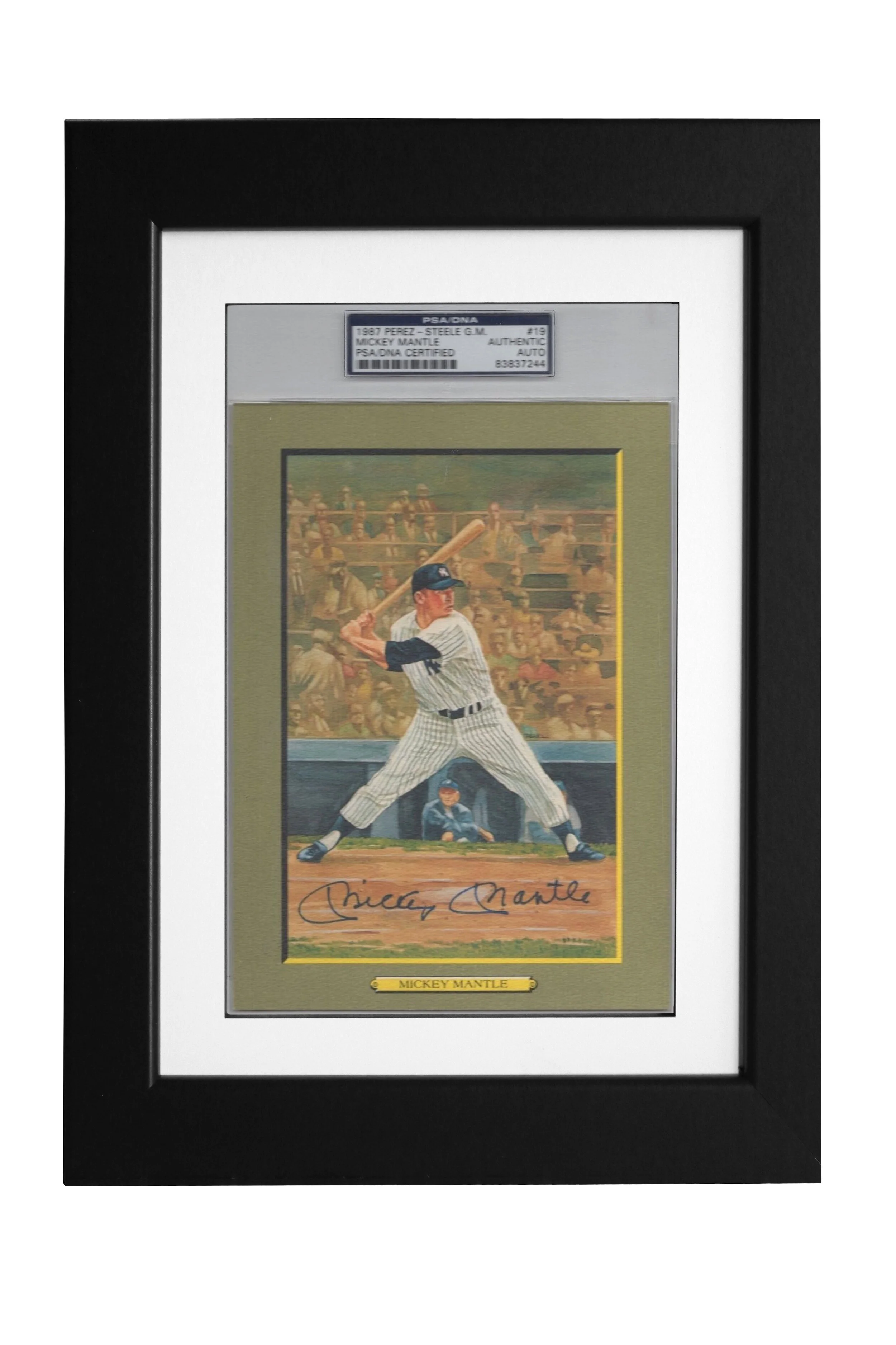 Shop All Displays — PSAFRAMES.COM