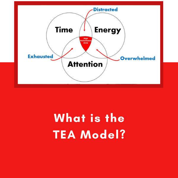 What is the TEA Model? — Steuart Snooks