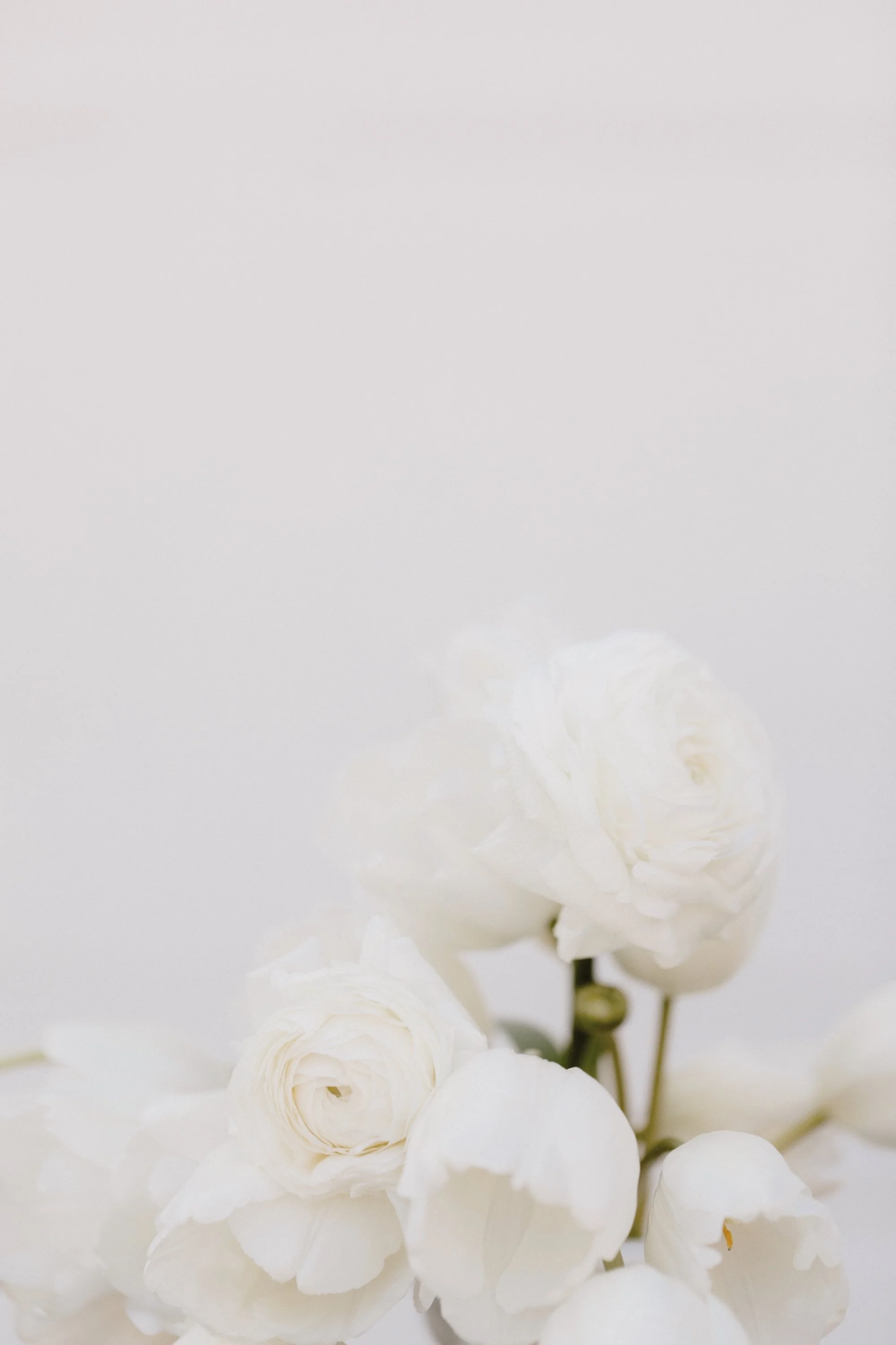 Unbolted from My Love Affair with This World — JOURNEYWOMEN